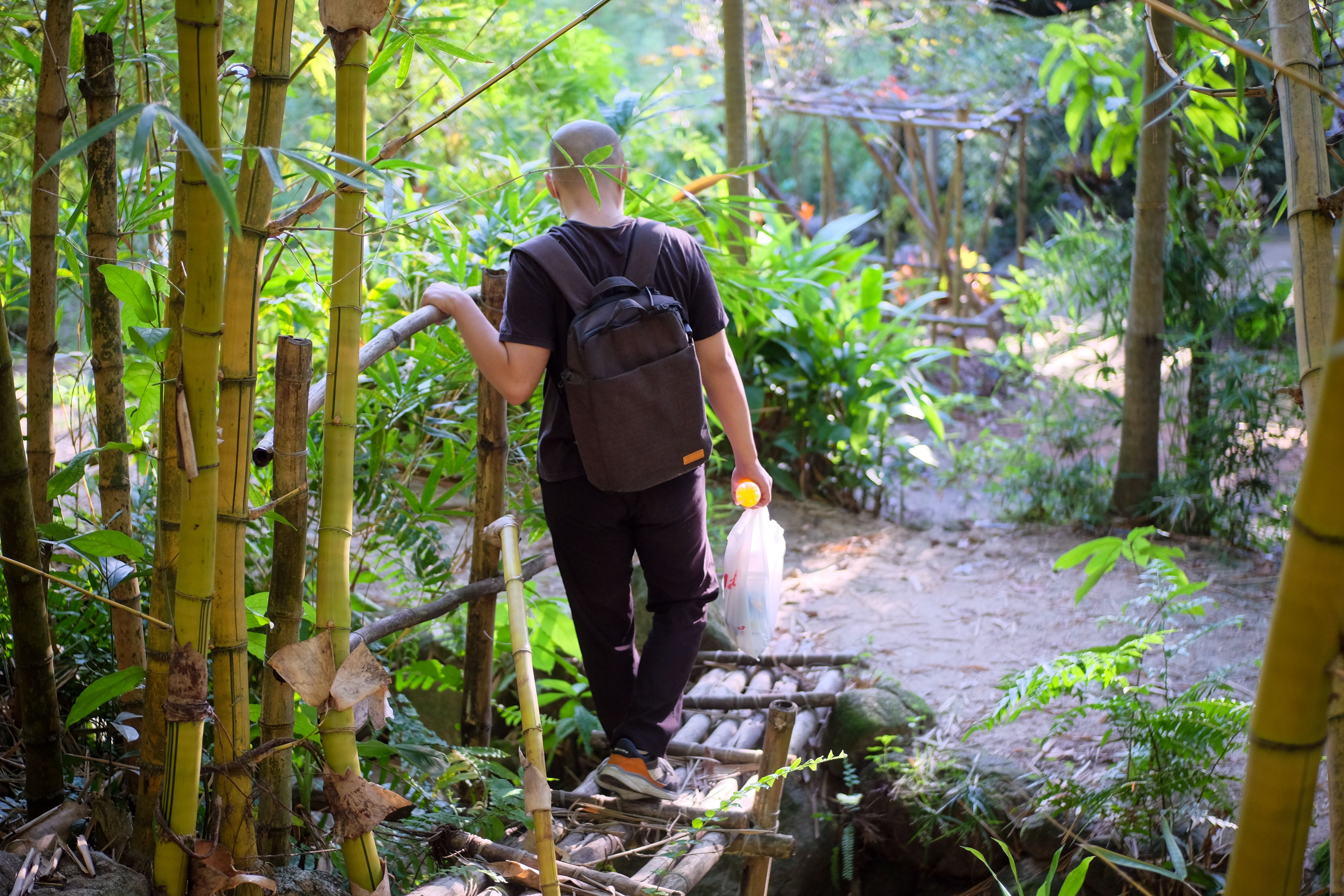 Adventurous Hike Through Da Nang's Bamboo Forest · Free Stock Photo