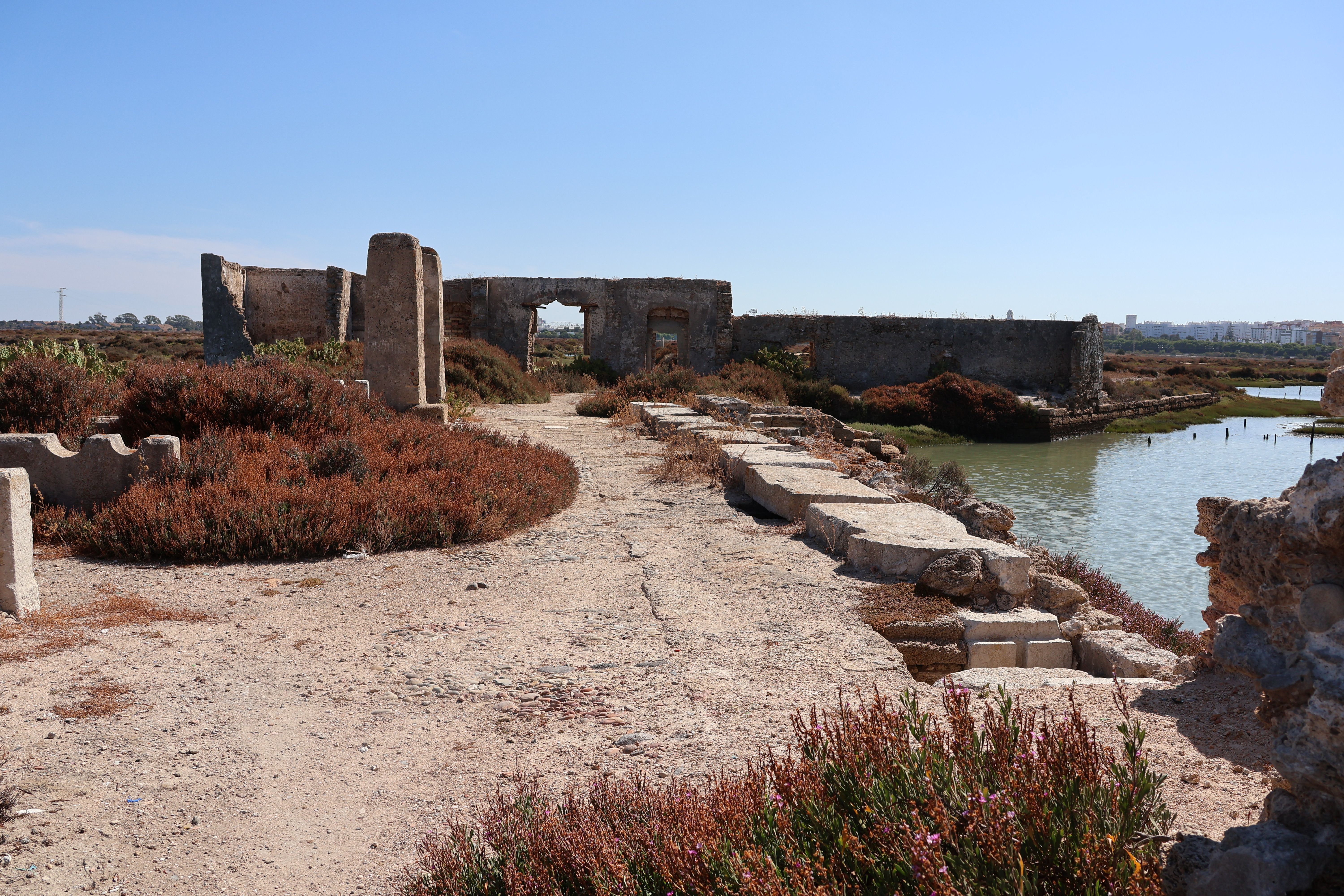 Pathway Art Photos, Download The BEST Free Pathway Art Stock Photos ...