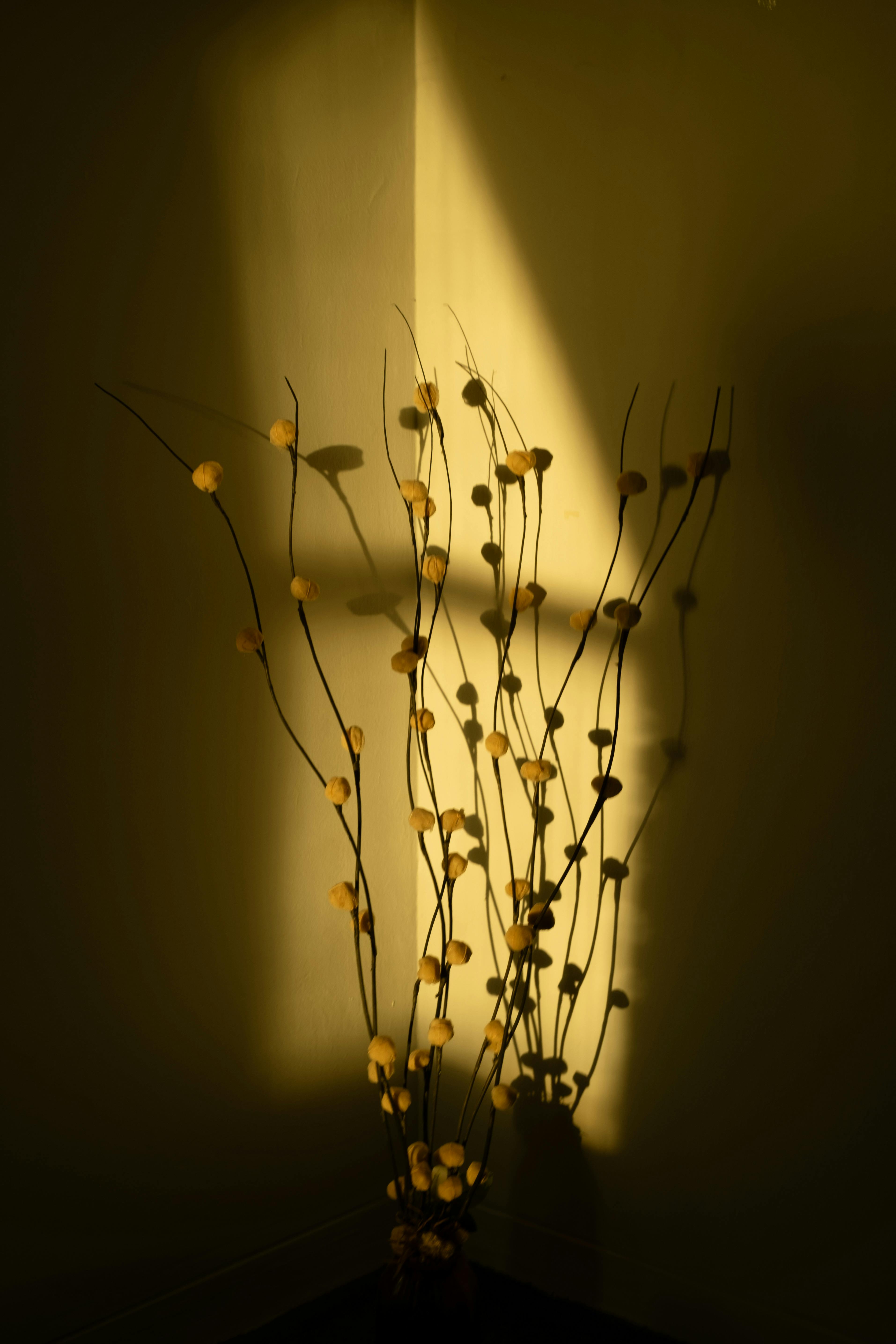 Minimalist Shadows on Yellow Wall with Sticks · Free Stock Photo