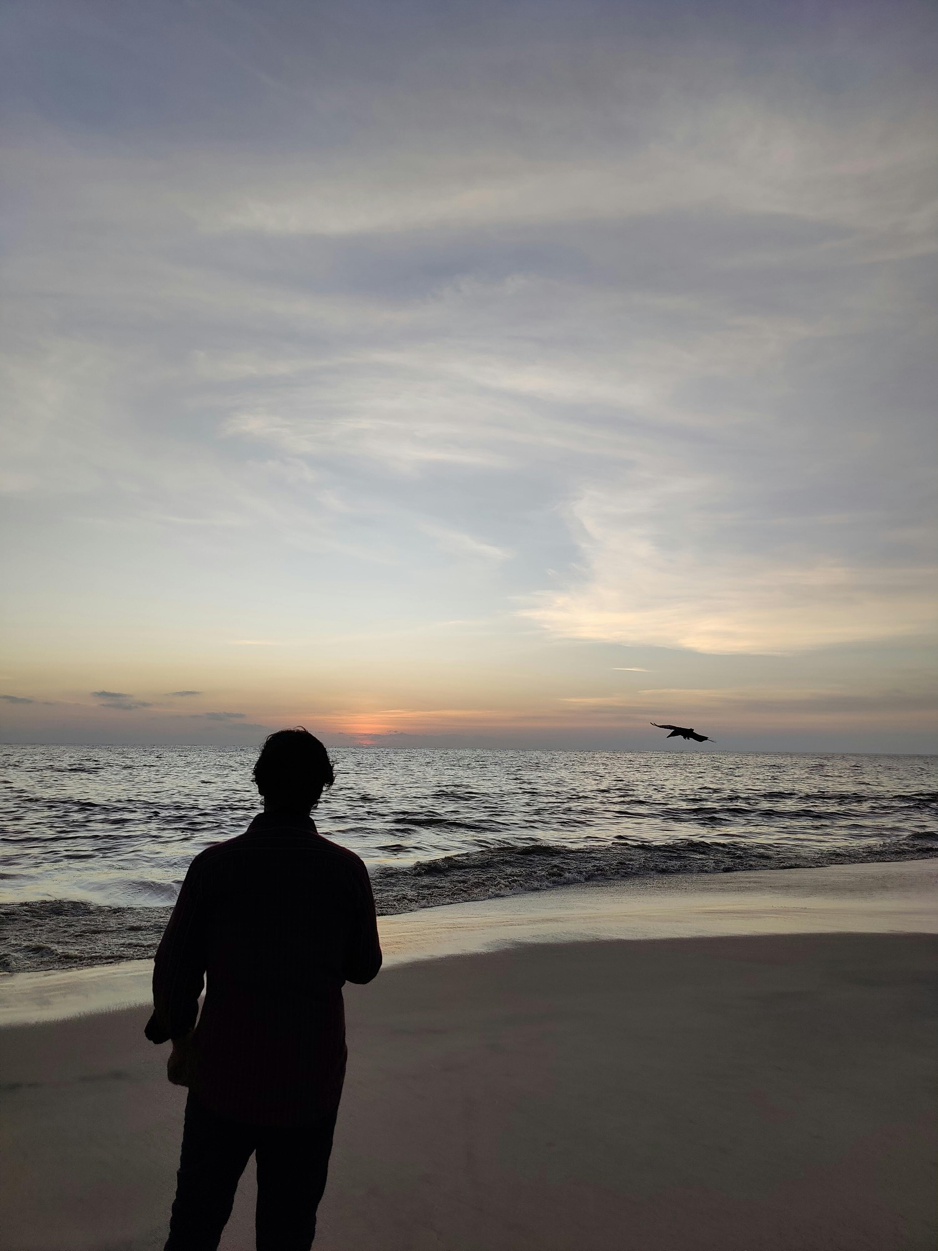 Frank Ocean Photos, Download The BEST Free Frank Ocean Stock Photos ...