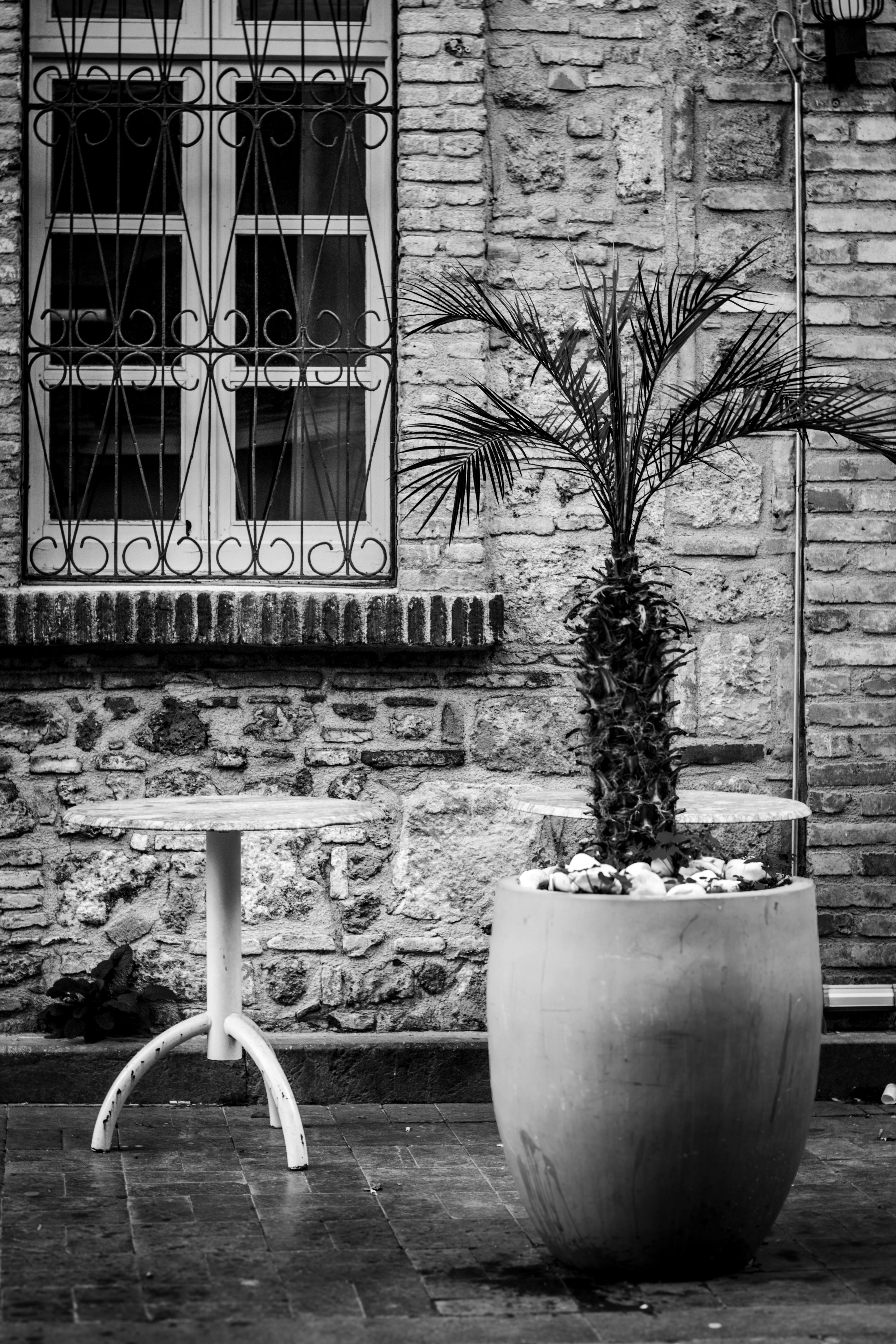 Rasaritul Soarelui De Plaza Photos, Download The BEST Free Rasaritul ...