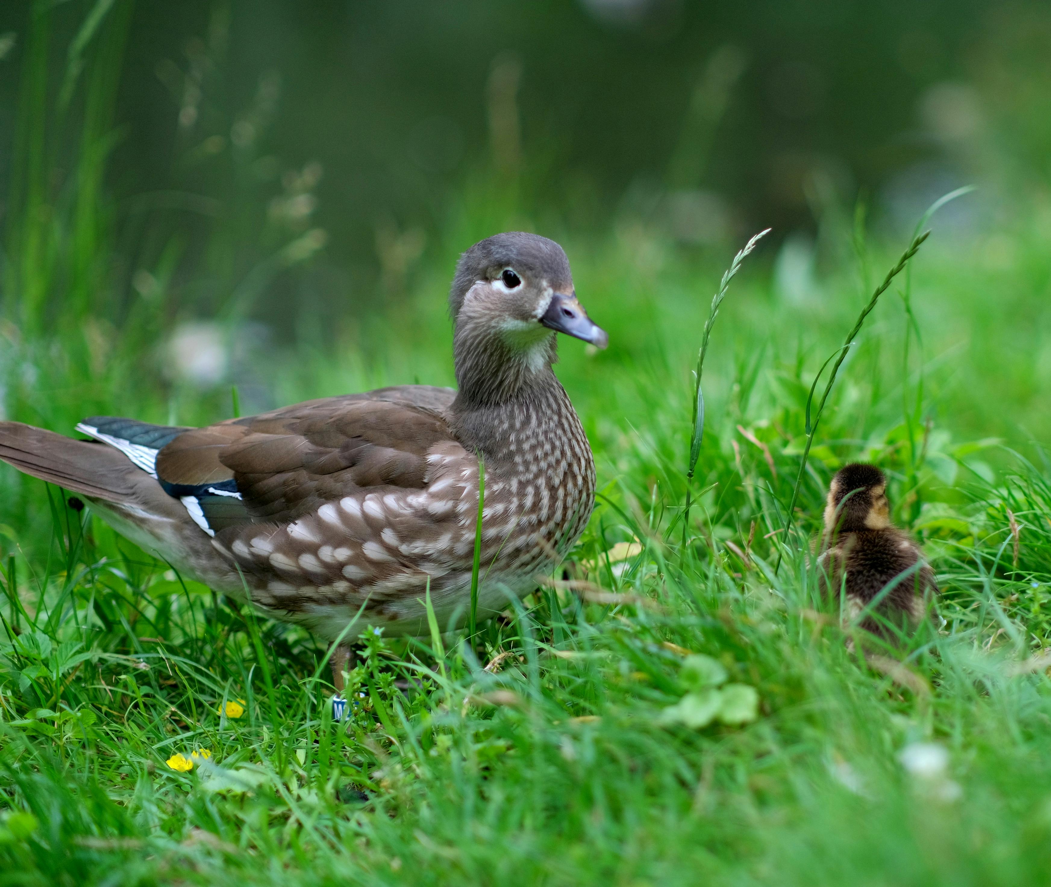 Imgsrc+Cute+Kiddies Photos, Download The BEST Free Imgsrc+Cute+Kiddies ...