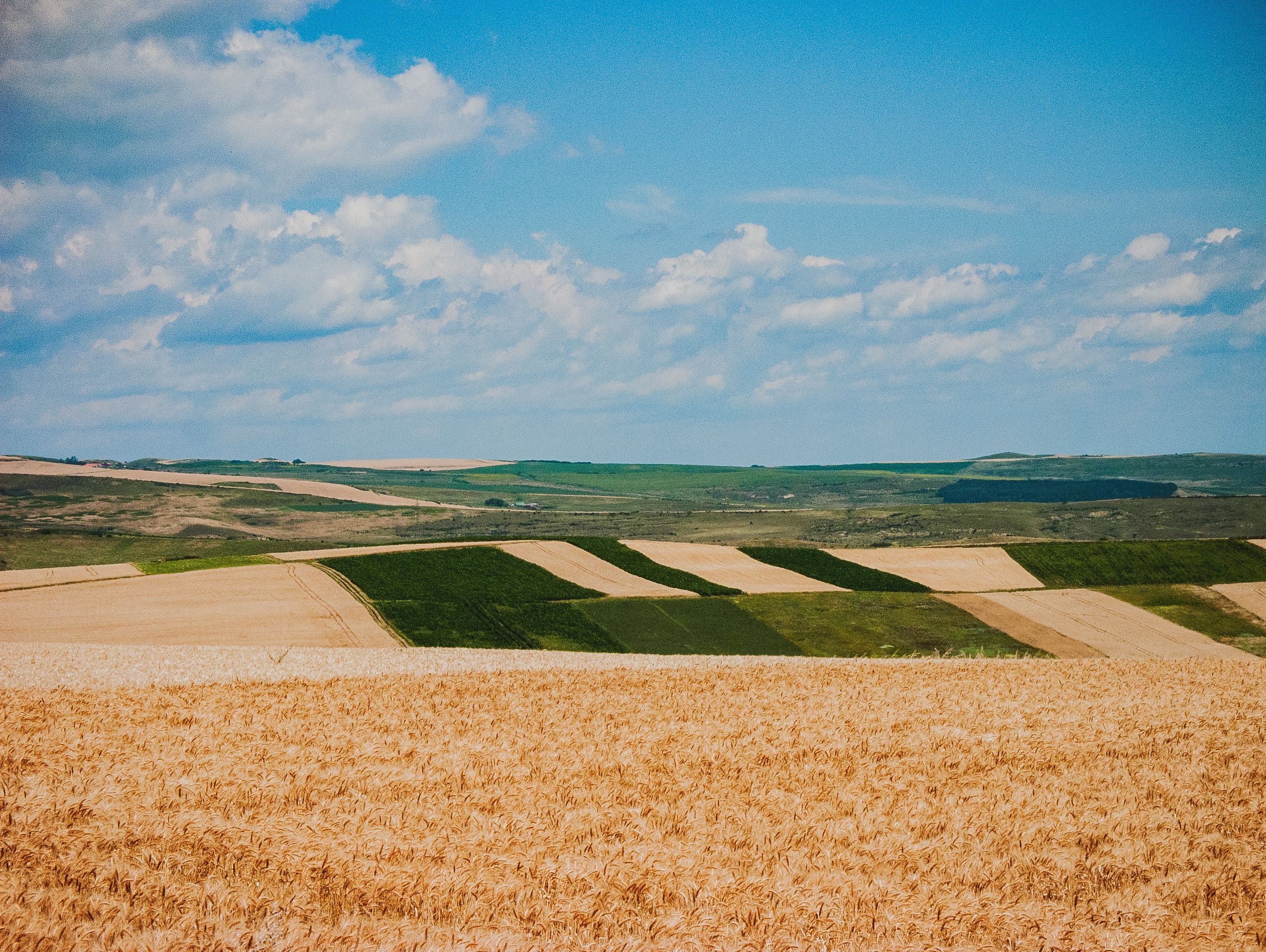 Vast Scenic Landscape of Rolling Farmland Fields · Free Stock Photo