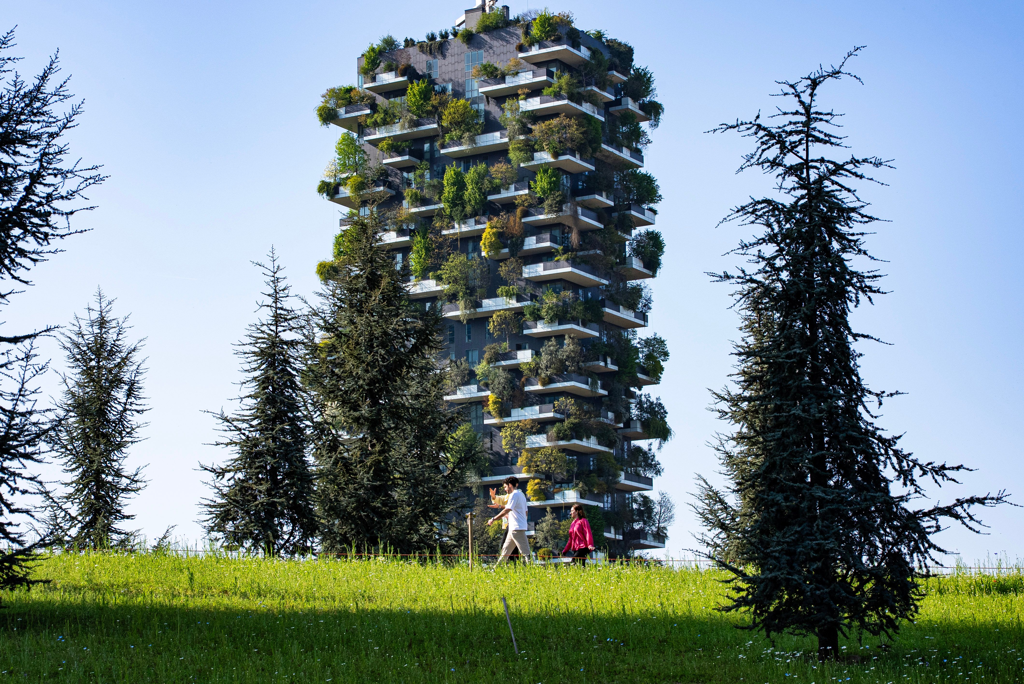 Vertical Forest Photos, Download The BEST Free Vertical Forest Stock ...