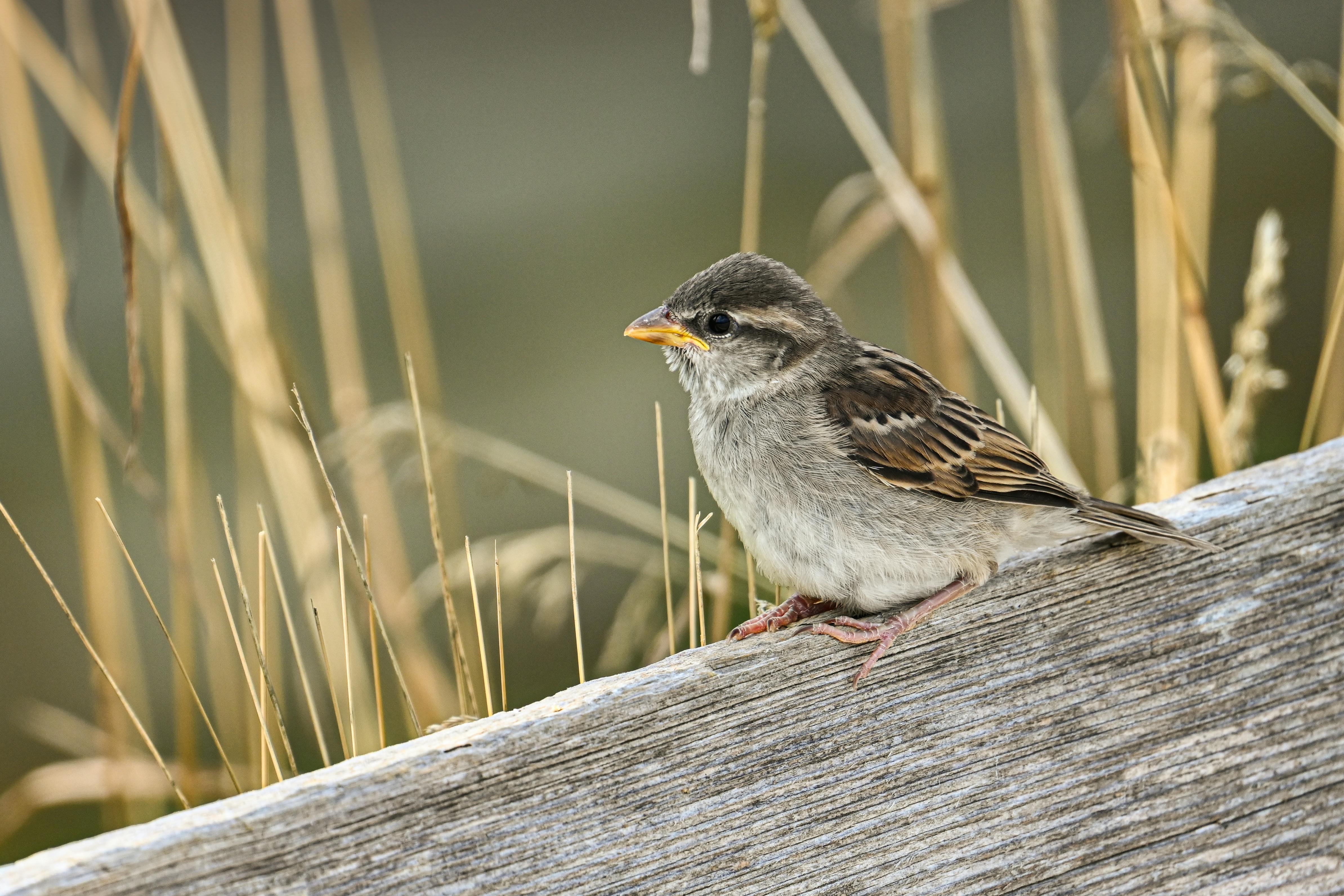 Vladmodels+Zhenya+Y114+Set+Image+Heaven Photos, Download The BEST Free ...