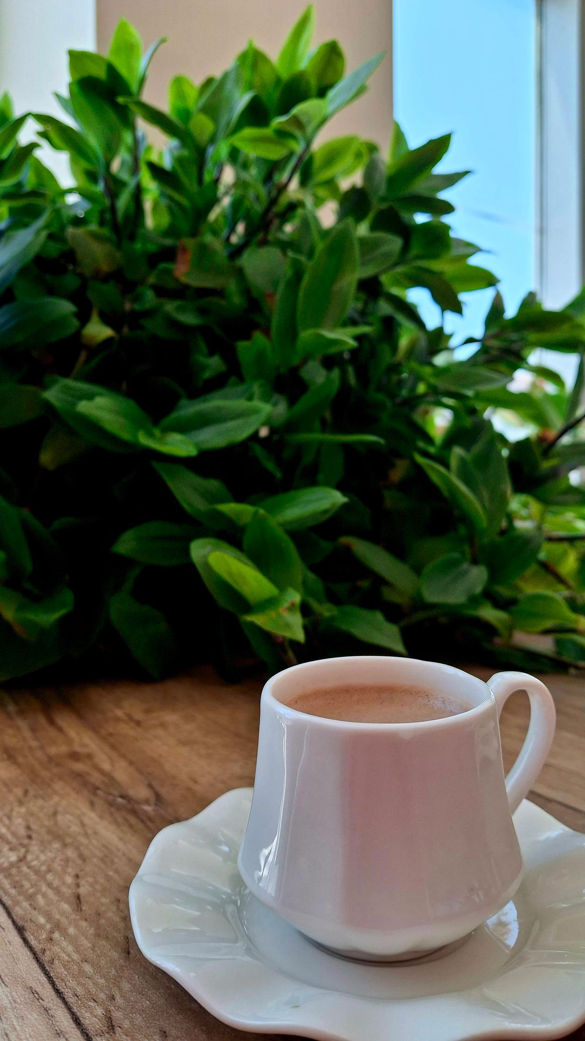 Coffee Background Photos, Download The BEST Free Coffee Background ...