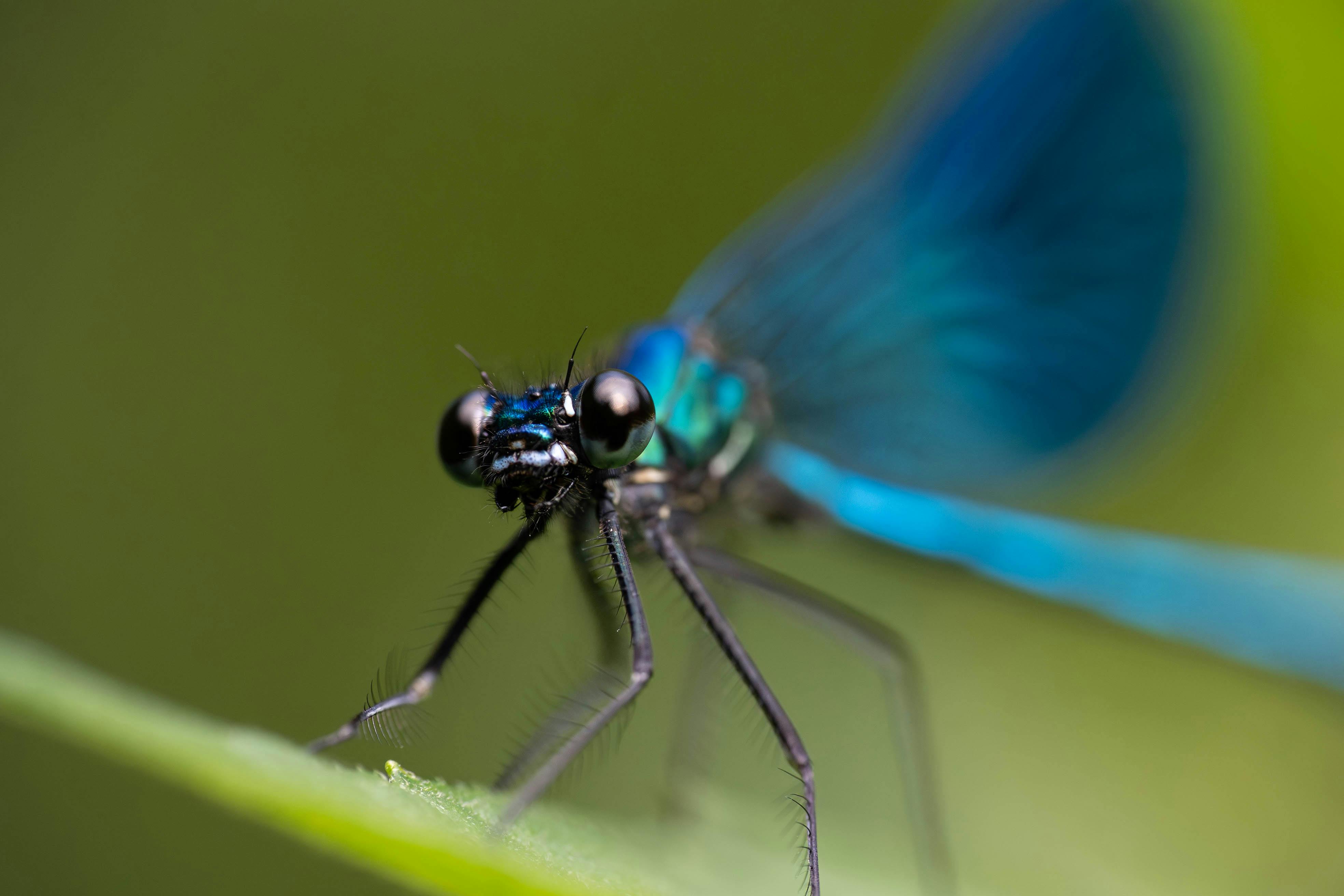 5mb Photo Photos, Download The BEST Free 5mb Photo Stock Photos & HD Images