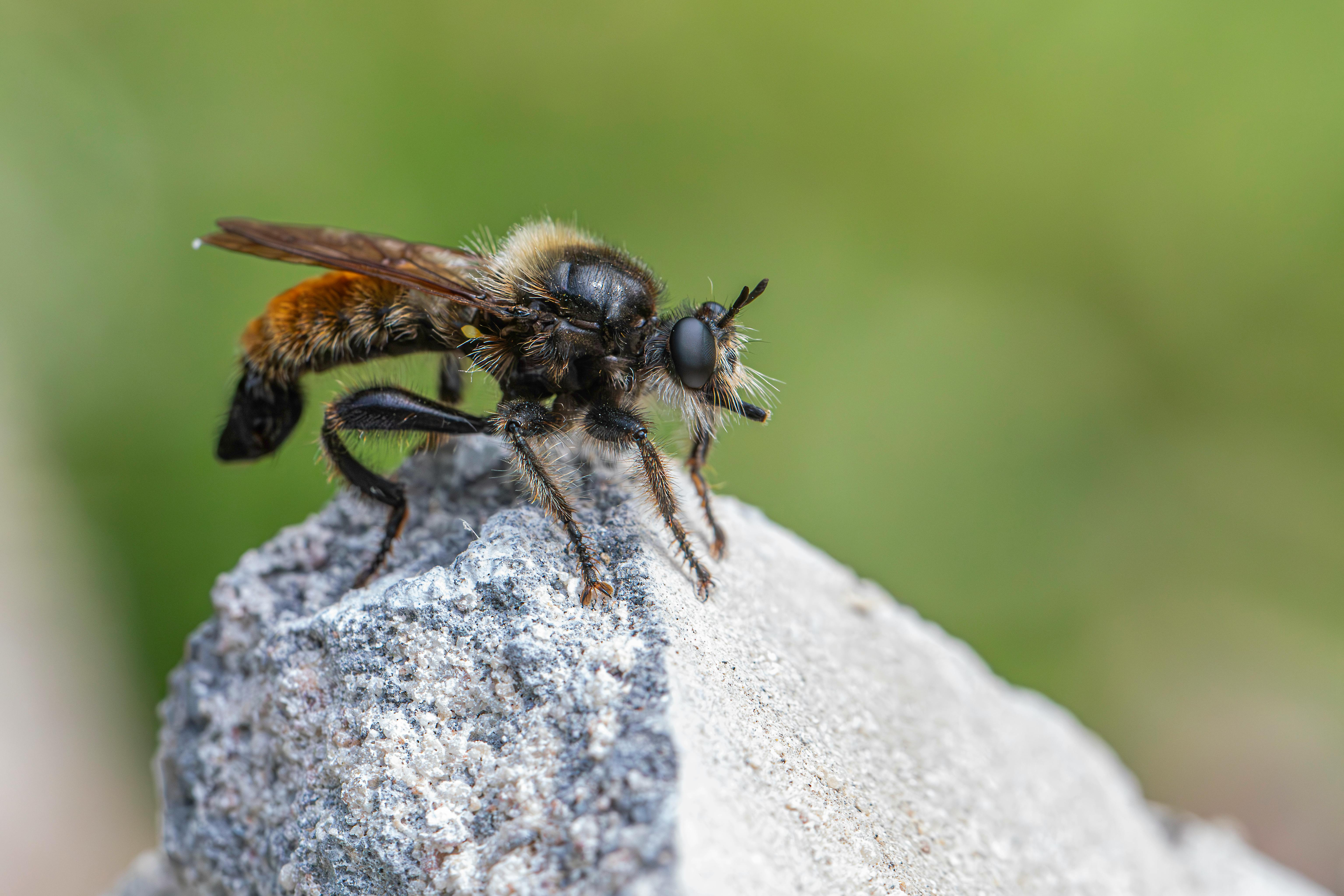 Body Creem Photos, Download The BEST Free Body Creem Stock Photos & HD ...