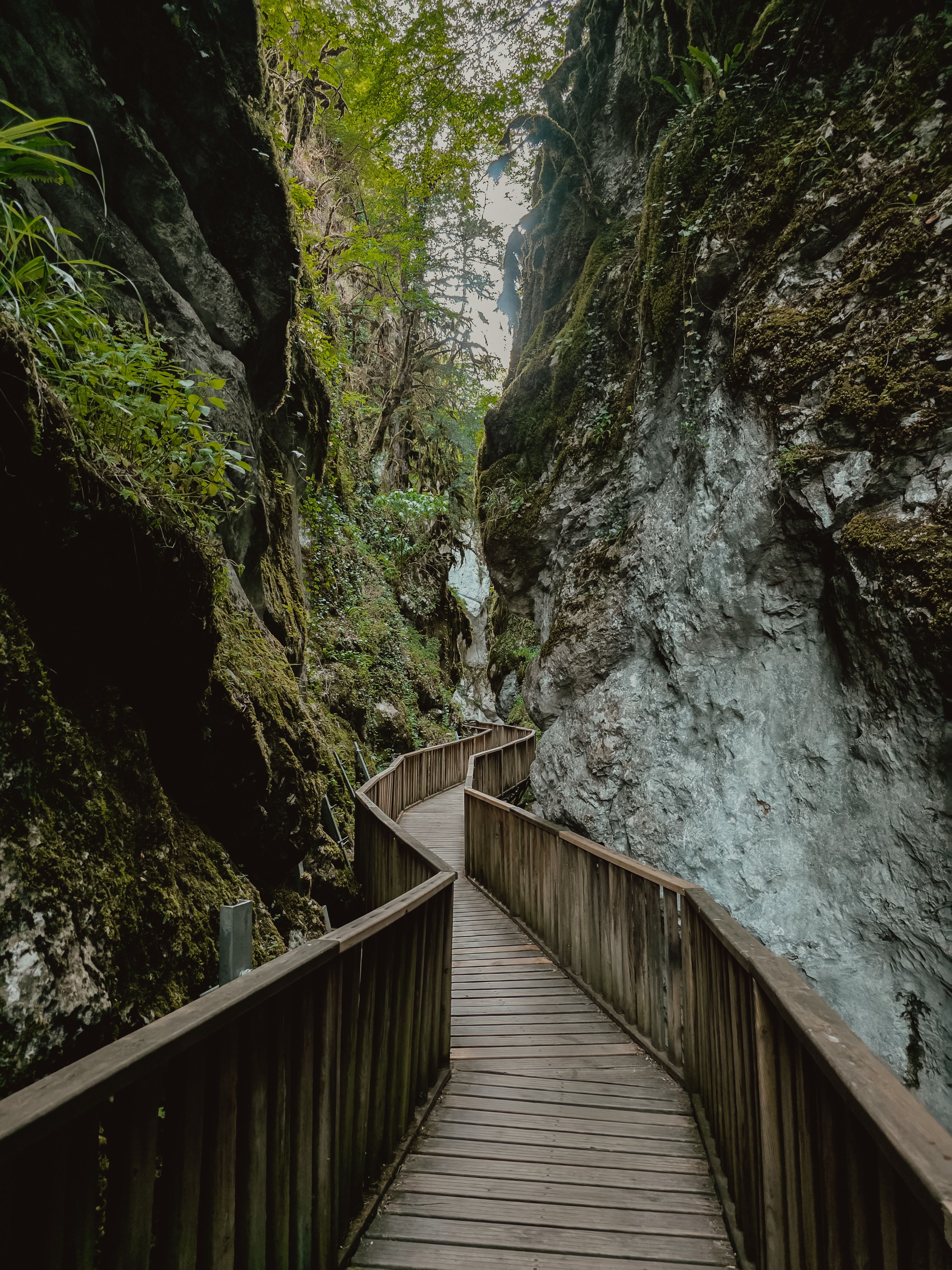 Scenic Wooden Pathway in Lush Mountain Gorge · Free Stock Photo