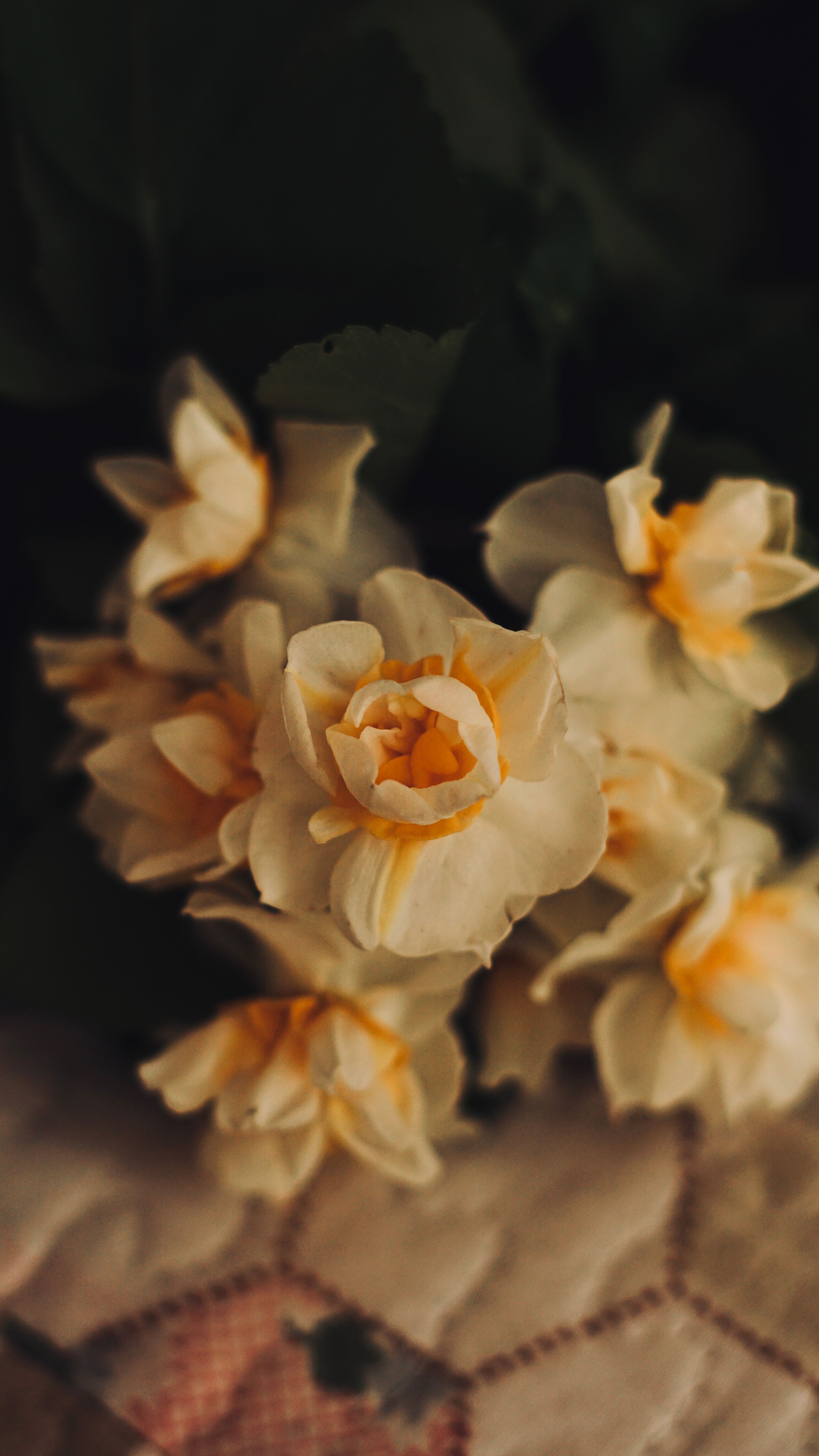 Soft Background Photos, Download The BEST Free Soft Background Stock ...