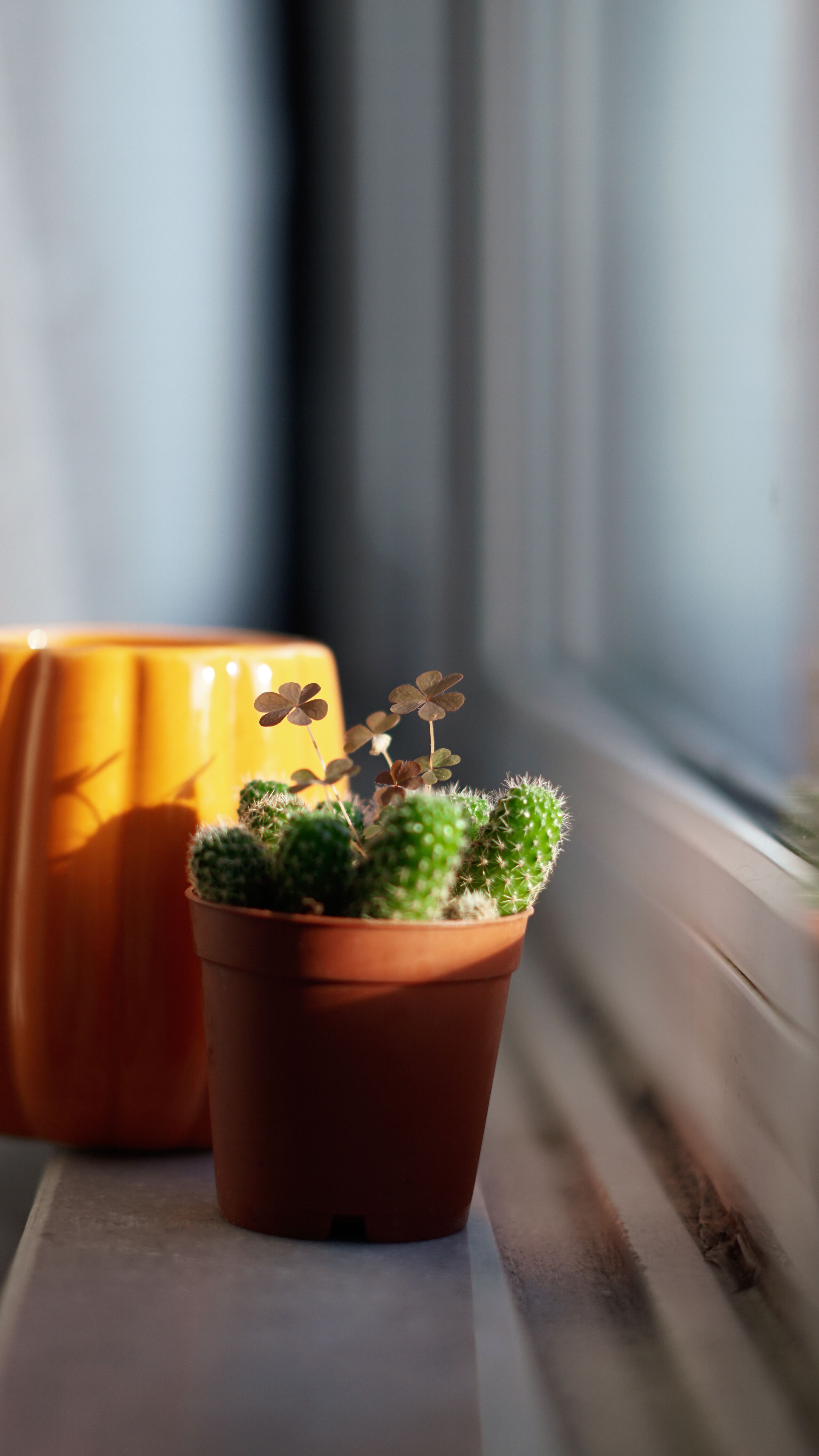 Calming Photos, Download The BEST Free Calming Stock Photos & HD Images