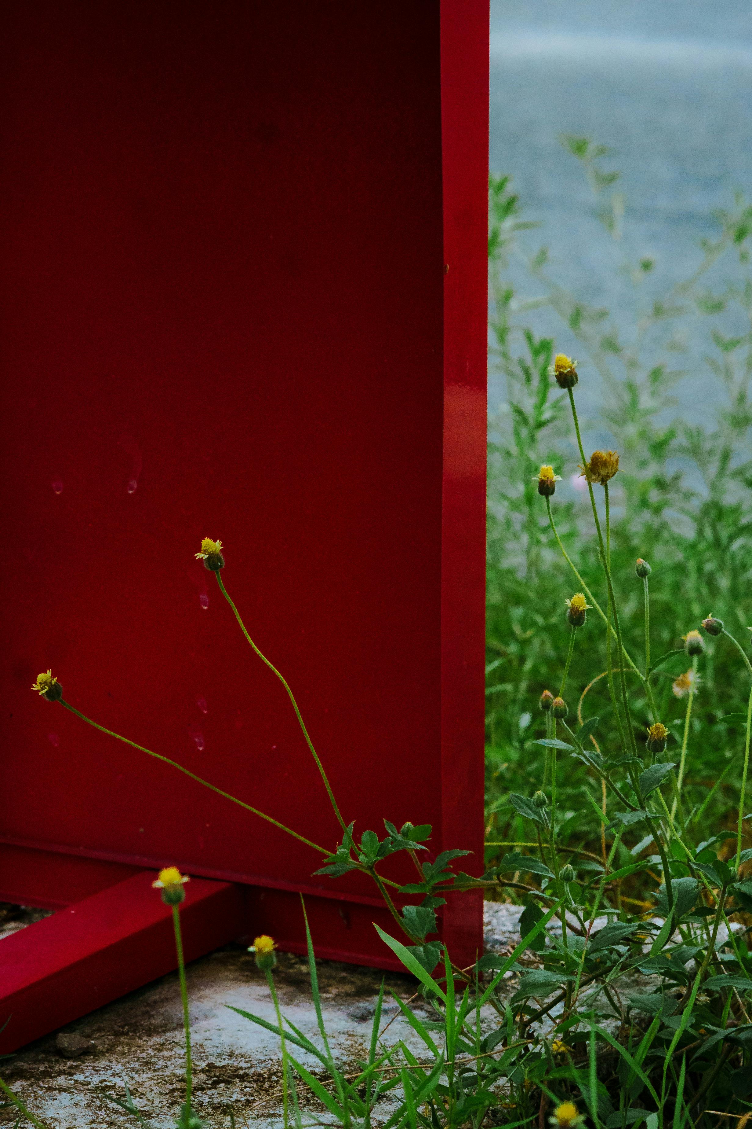 Vibrant Red Structure Amidst Greenery Outdoors · Free Stock Photo