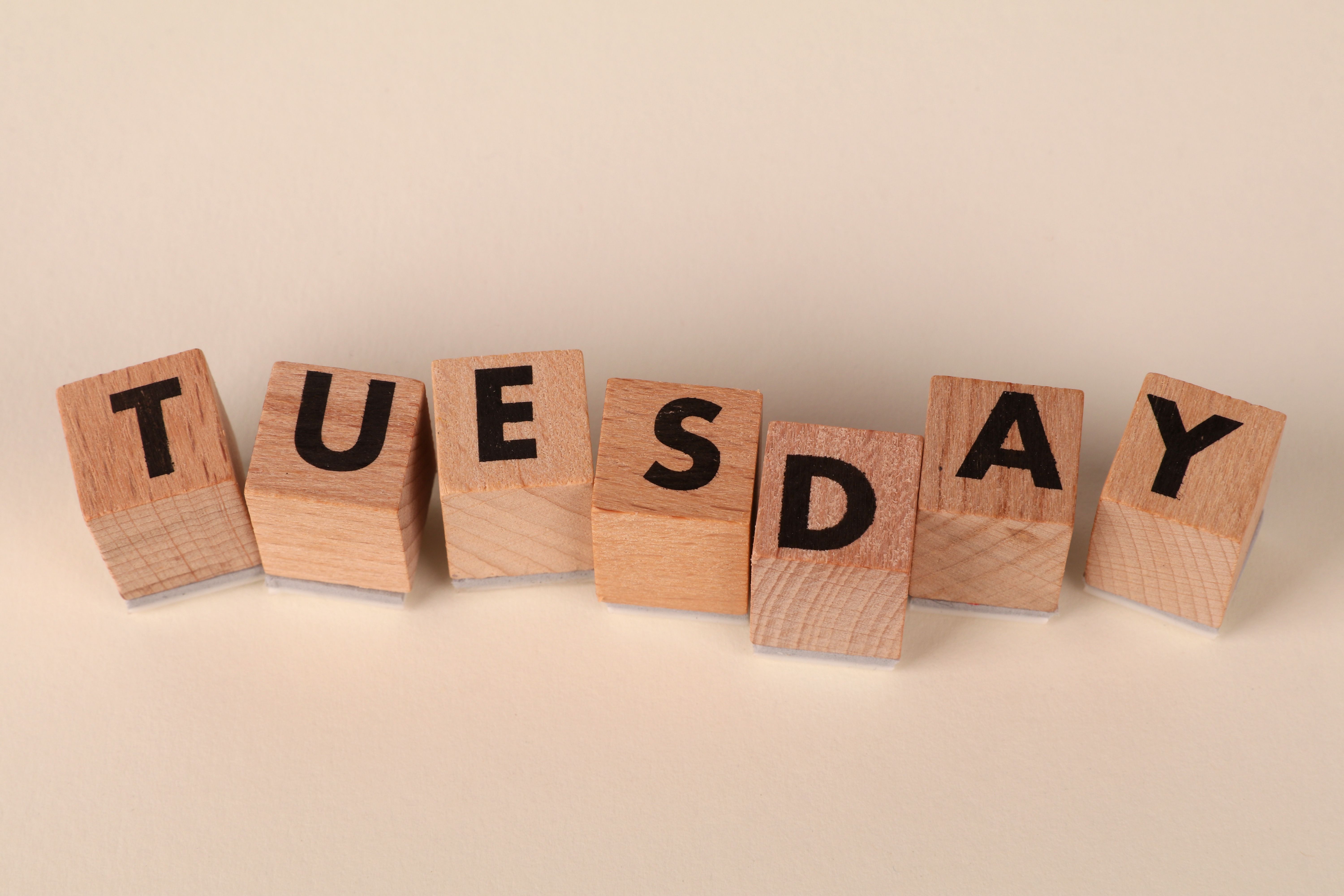 Terrific Tuesday Photos, Download The BEST Free Terrific Tuesday Stock ...