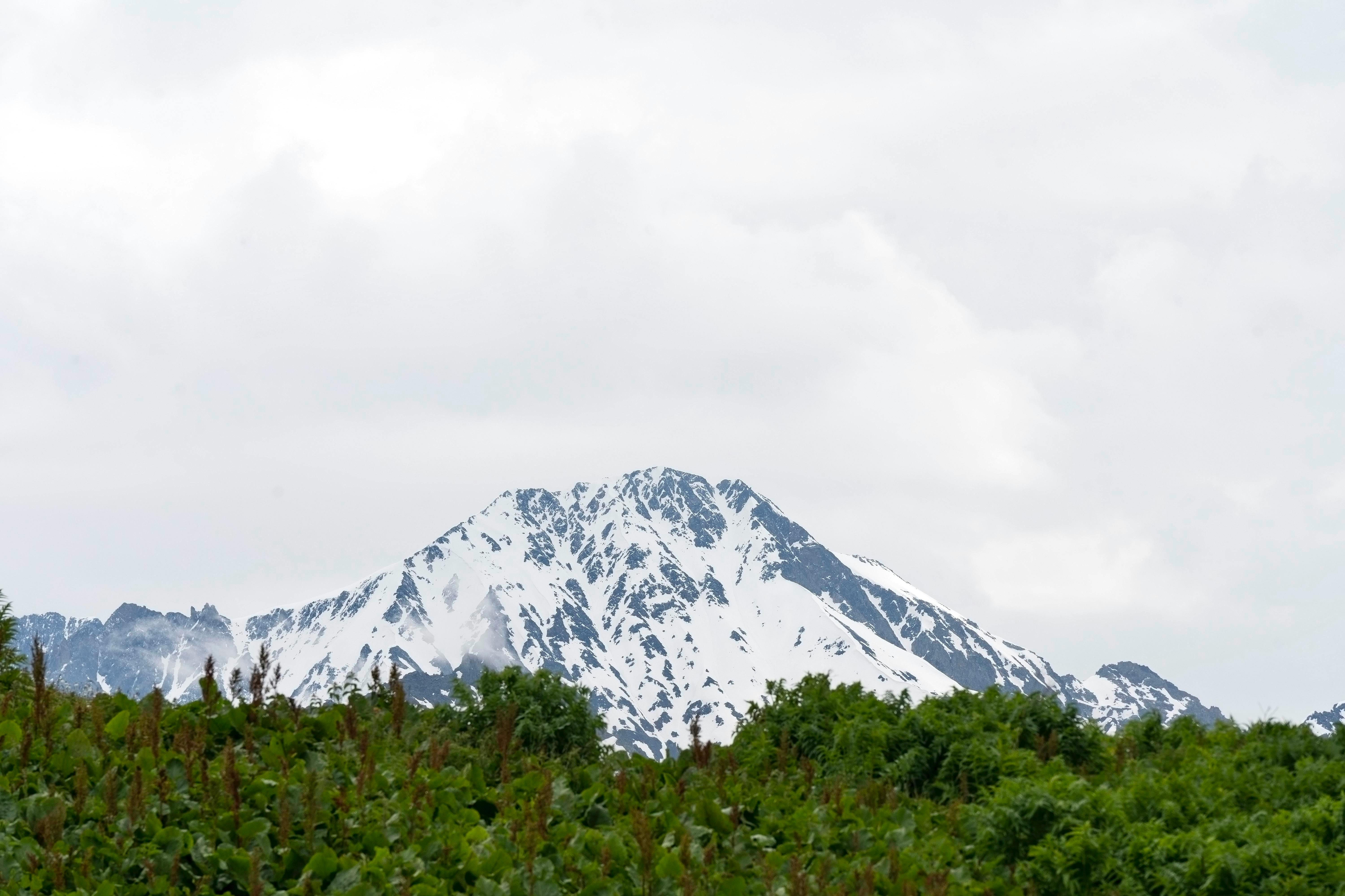 Between Winter And Spring Photos, Download The BEST Free Between Winter ...