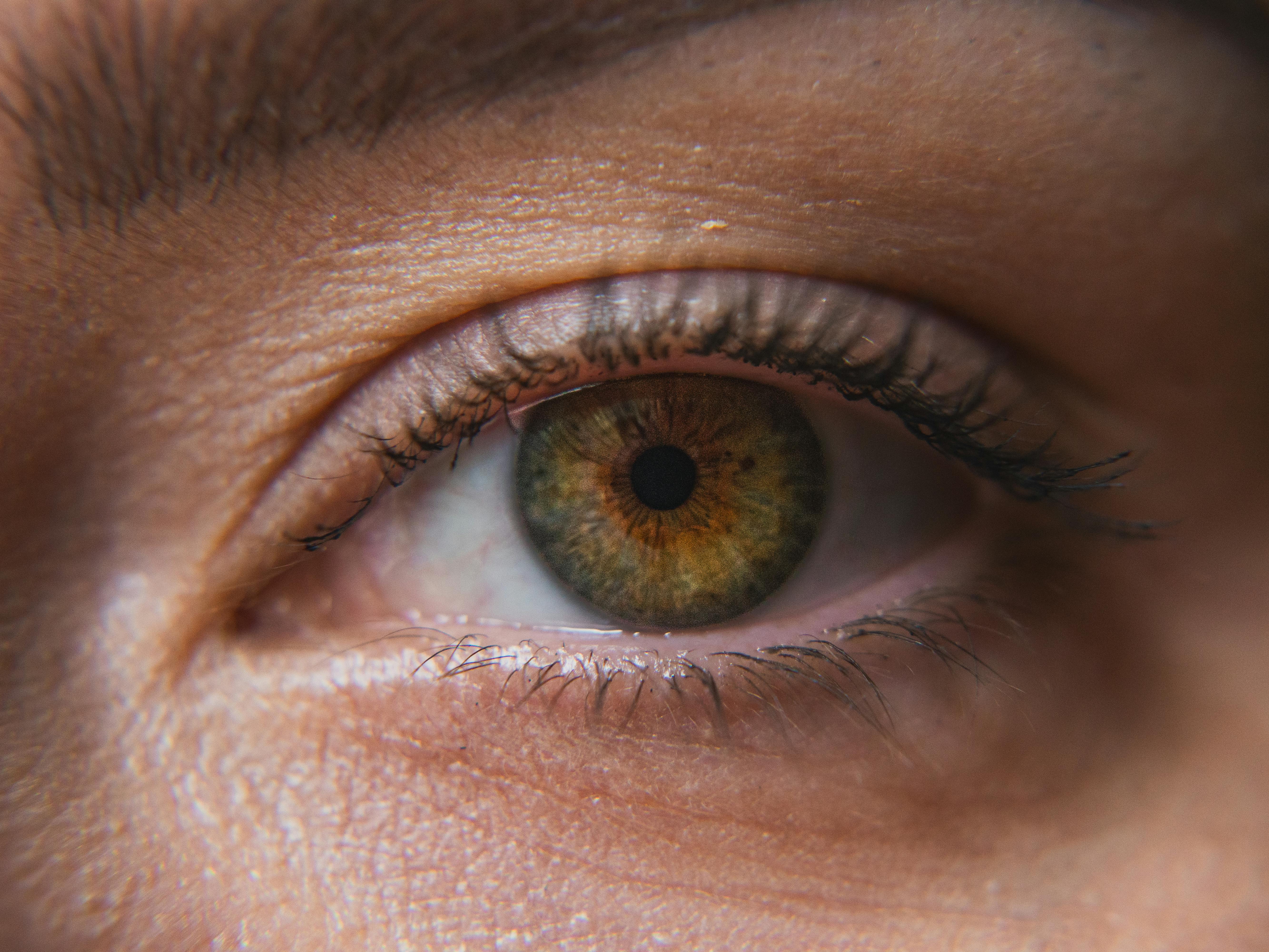 Huamn Anatomy Photos, Download The BEST Free Huamn Anatomy Stock Photos ...