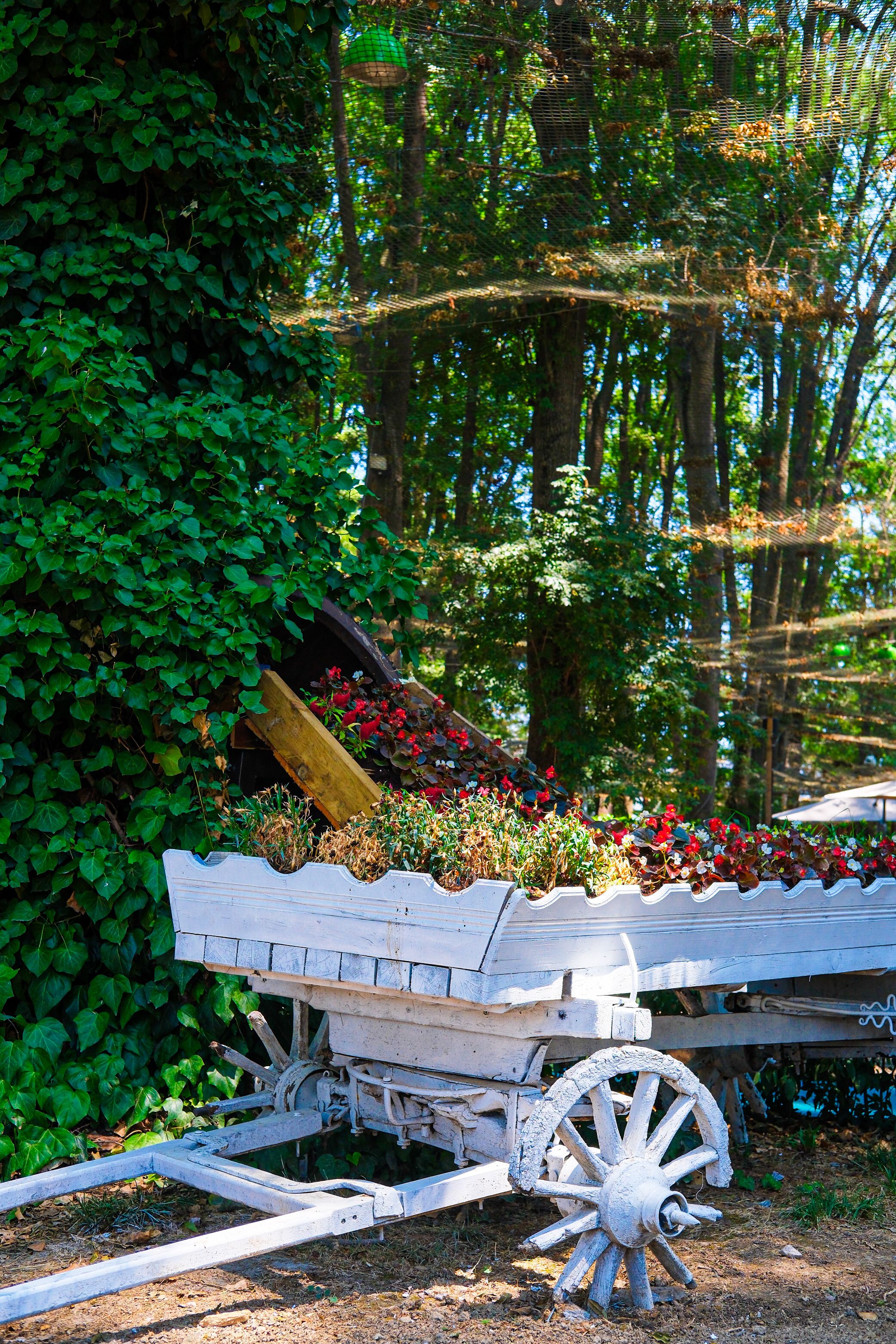 Carro Rústico Blanco Con Flores De Colores En El Bosque · Foto de stock ...