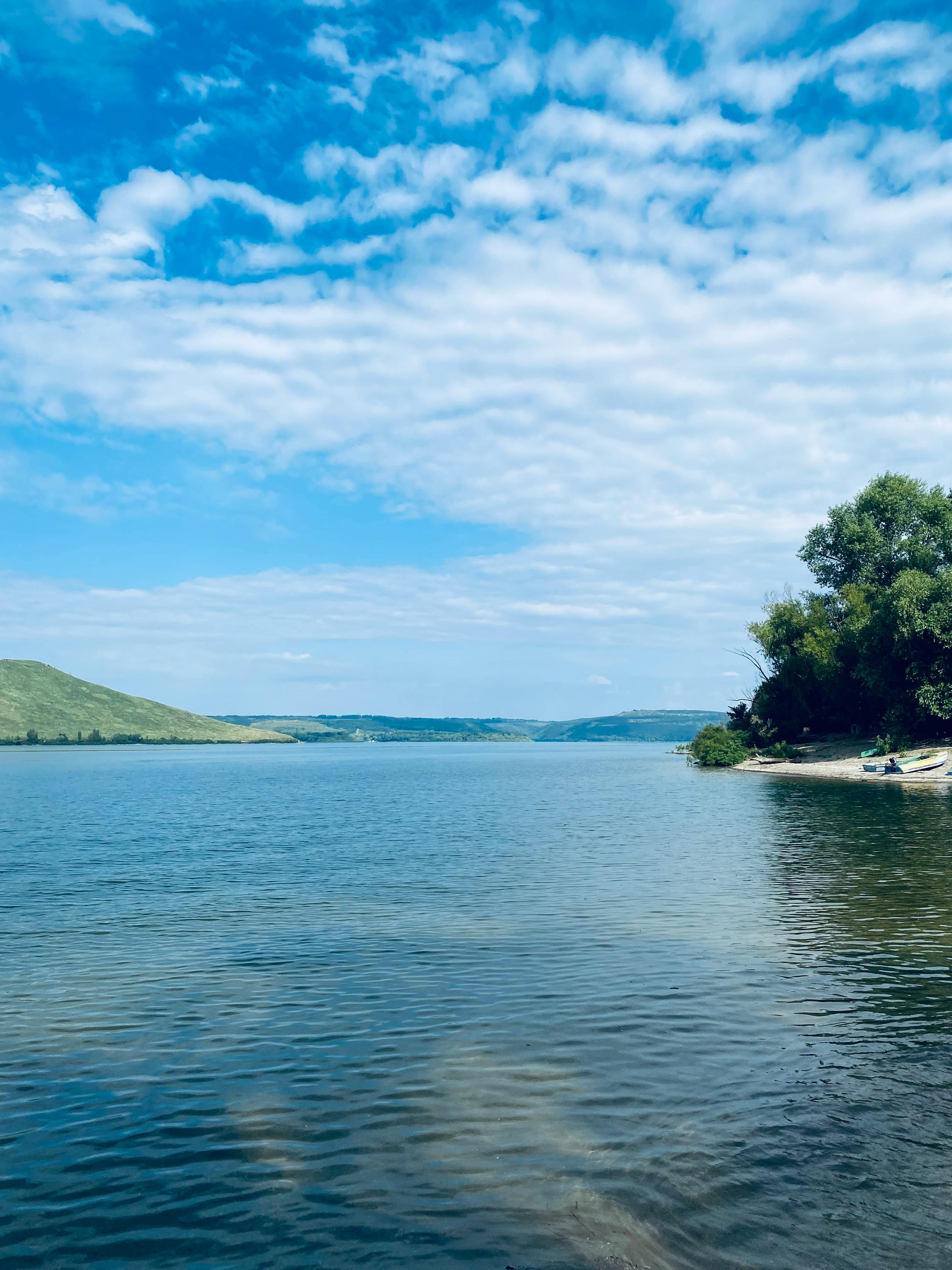 Tranquil Riverbank Scene with Lush Greenery · Free Stock Photo