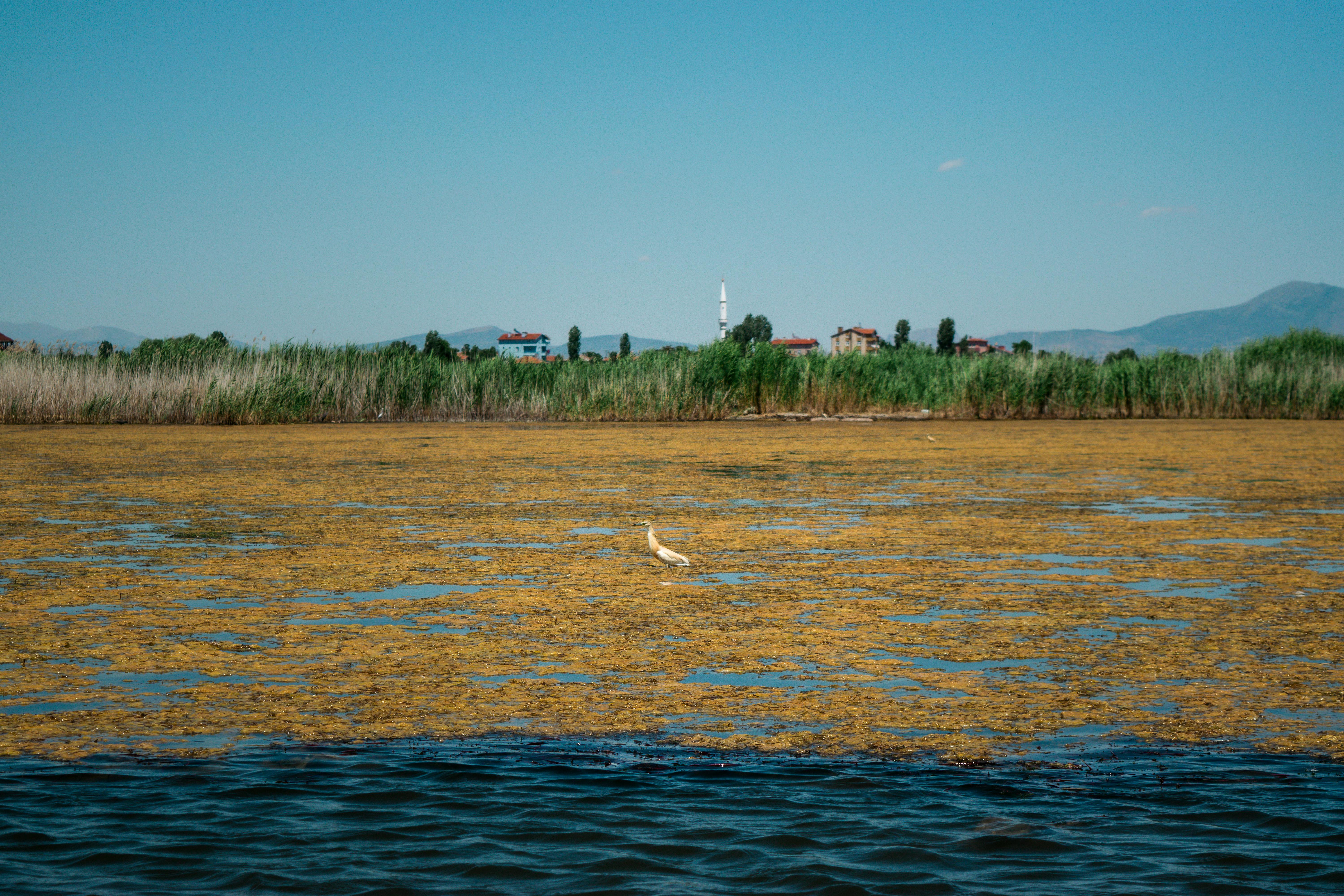 Shitpost+Wallpaper+For+Pc Photos, Download The BEST Free Shitpost ...