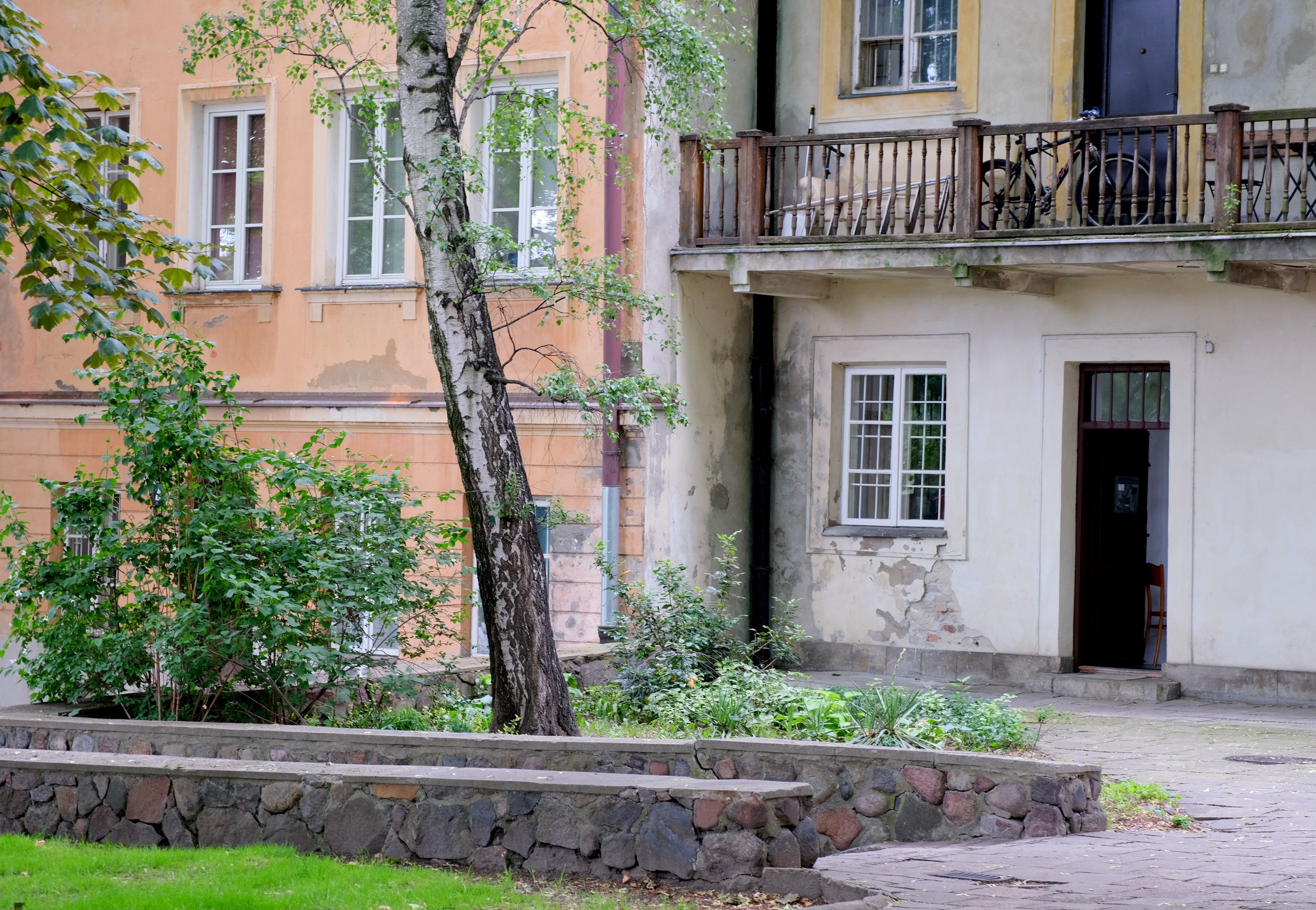 Charming Rustic Courtyard with Birch Tree · Free Stock Photo