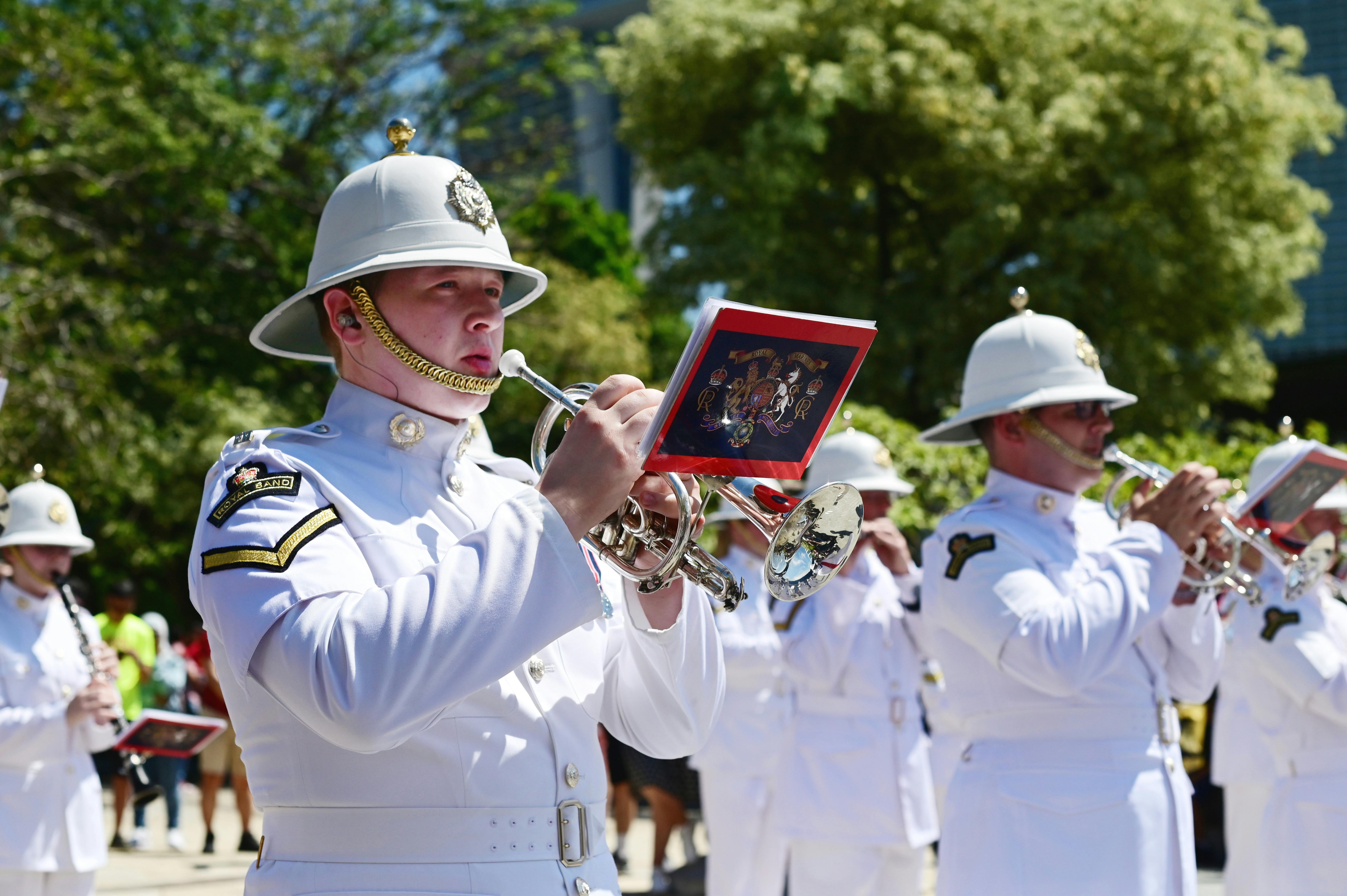 Sad, Trumpet Photos, Download The BEST Free Sad, Trumpet Stock Photos ...