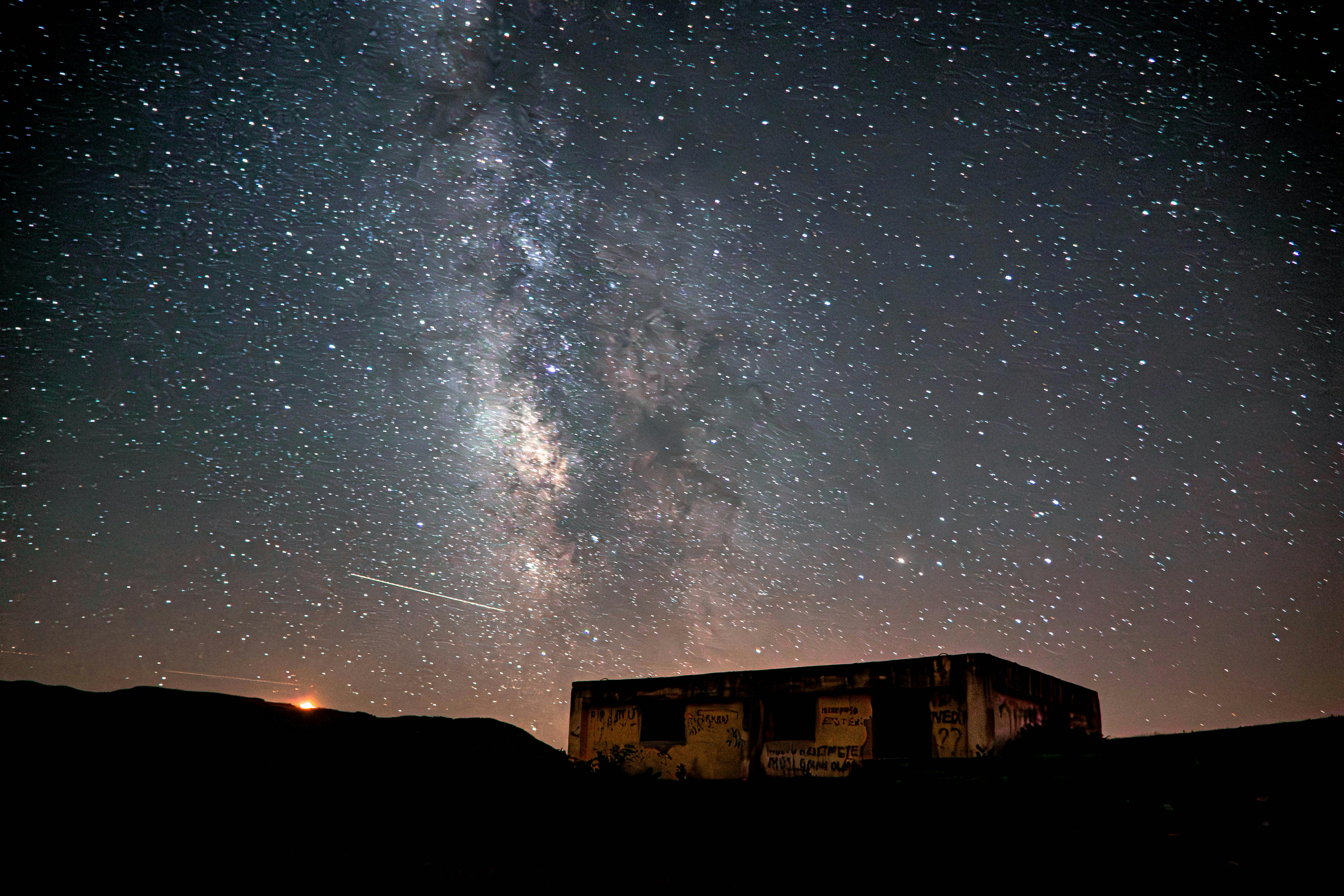 Twinkle Twiglets Photos, Download The BEST Free Twinkle Twiglets Stock ...