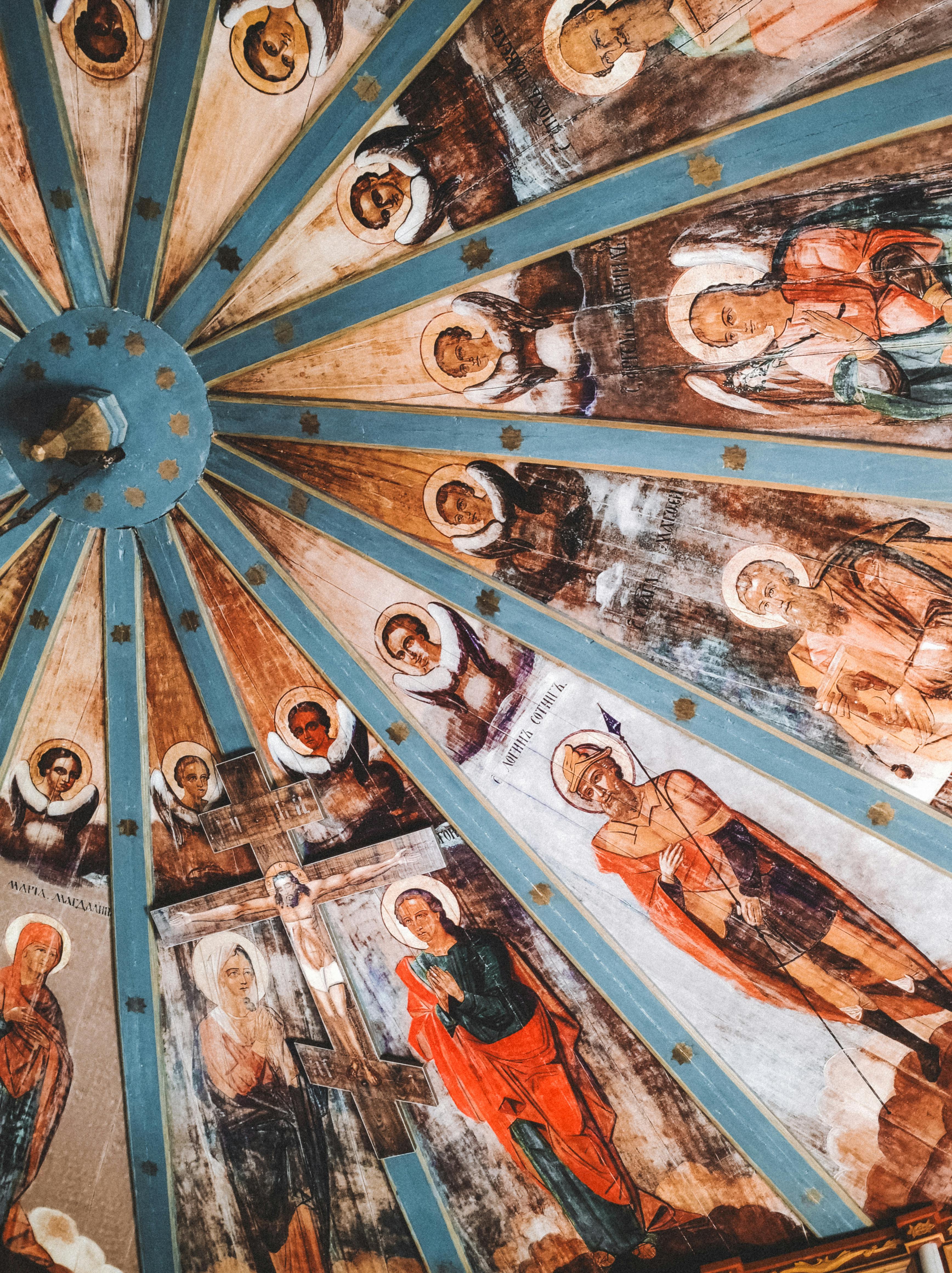 Kidney Icons Photos, Download The BEST Free Kidney Icons Stock Photos ...