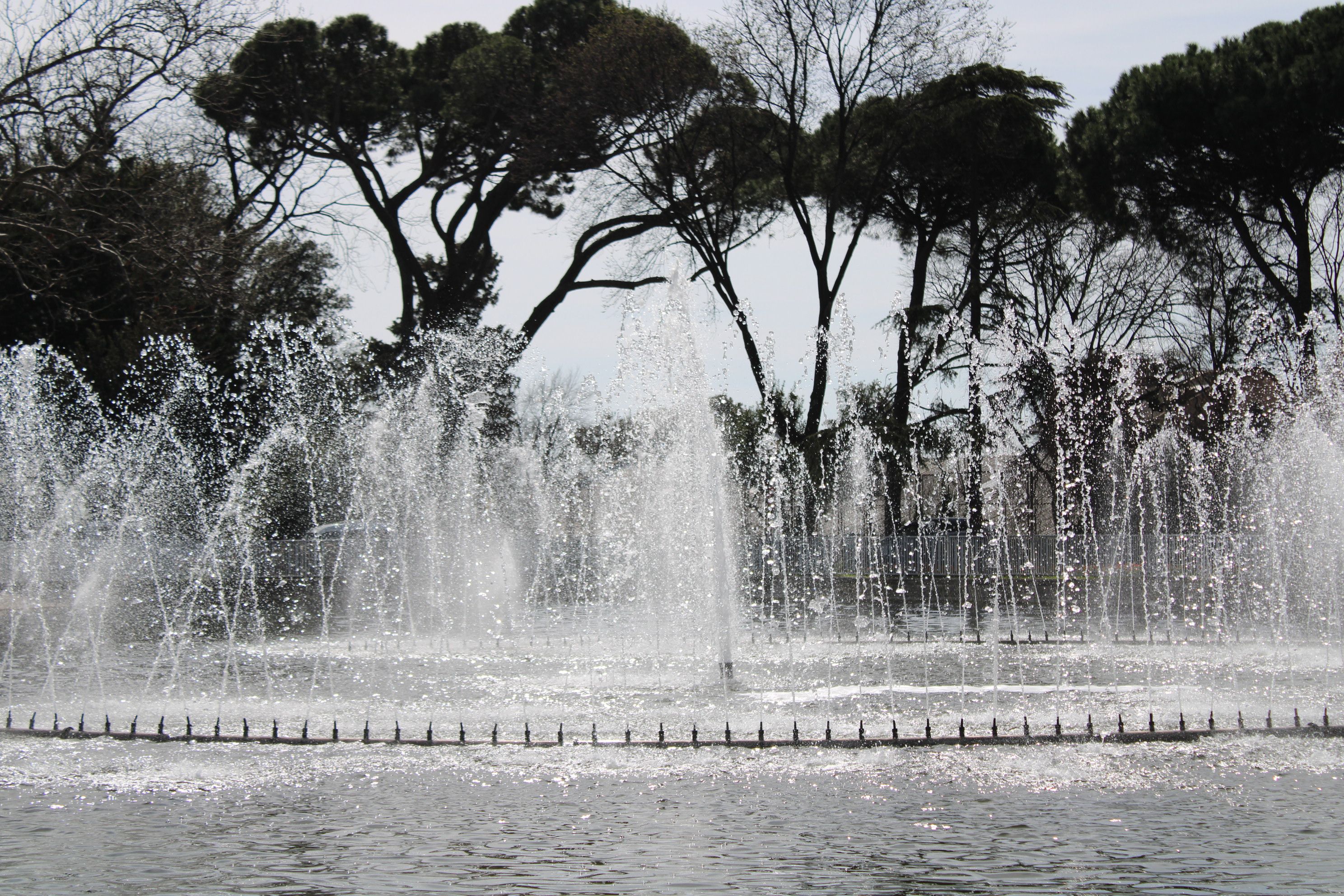 Serene Water Fountain with Tall Trees Background · Free Stock Photo