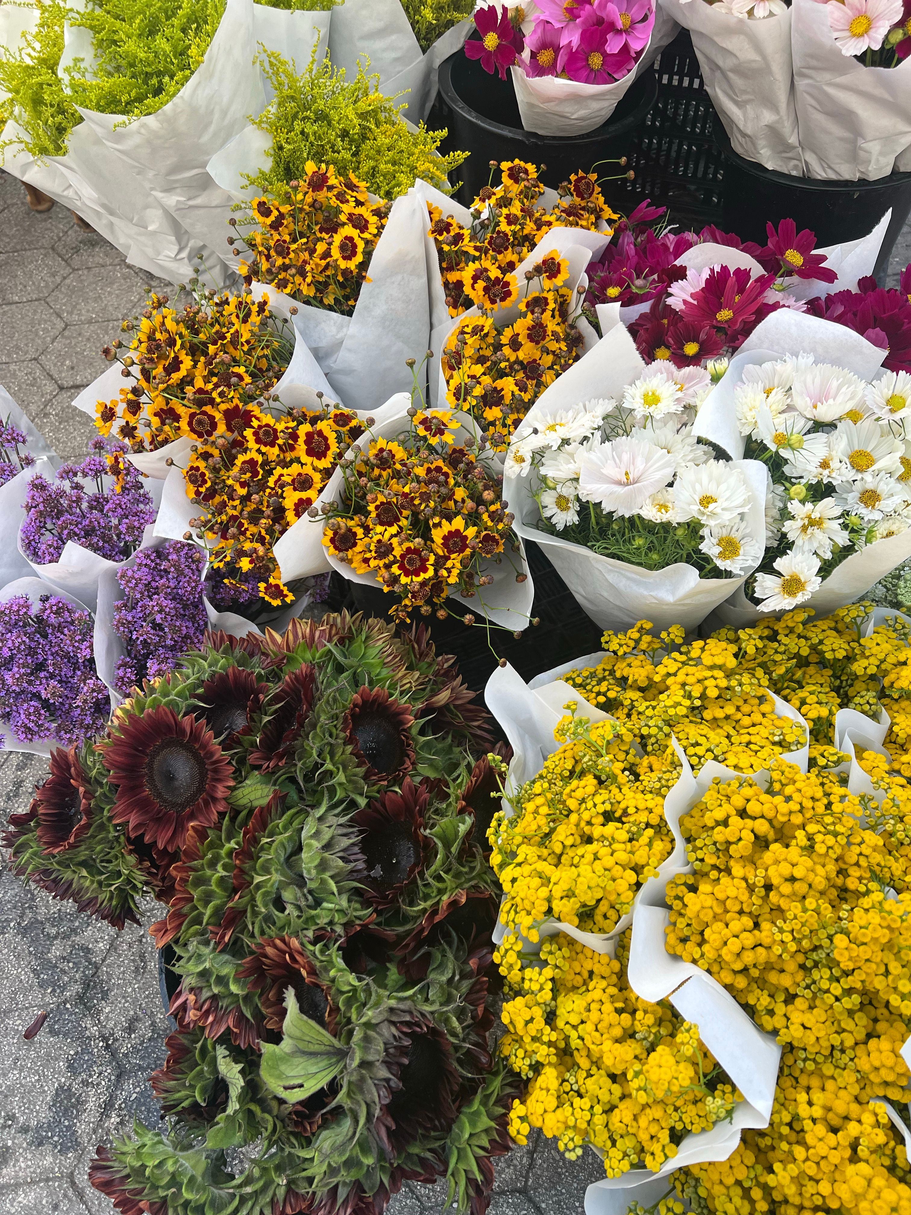 Flower Market Photos, Download The BEST Free Flower Market Stock Photos ...