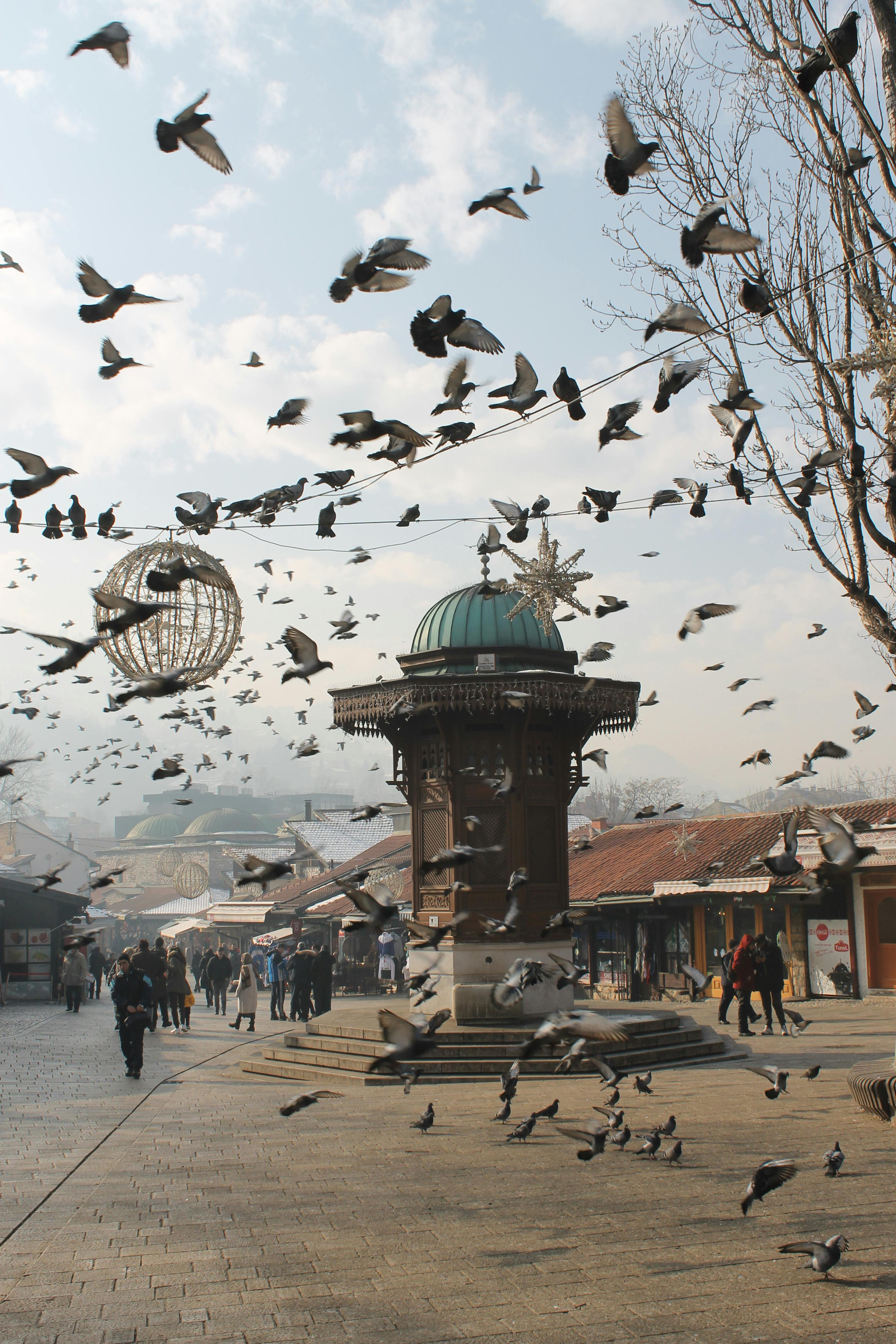 Vibrant Scene at Sebilj Fountain in Sarajevo, Bosnia · Free Stock Photo