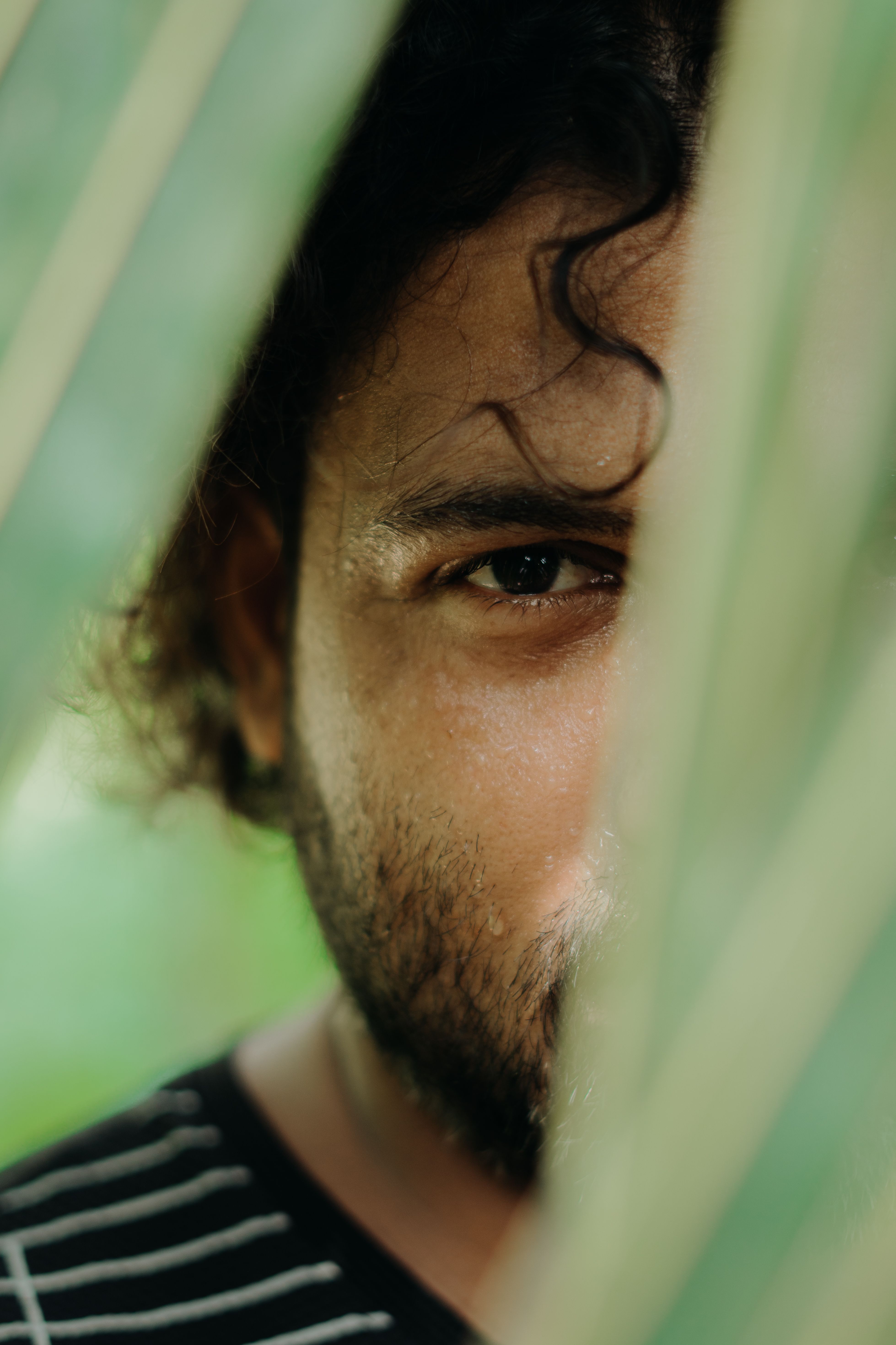 Close-up Portrait of Man Peering Through Leaves · Free Stock Photo