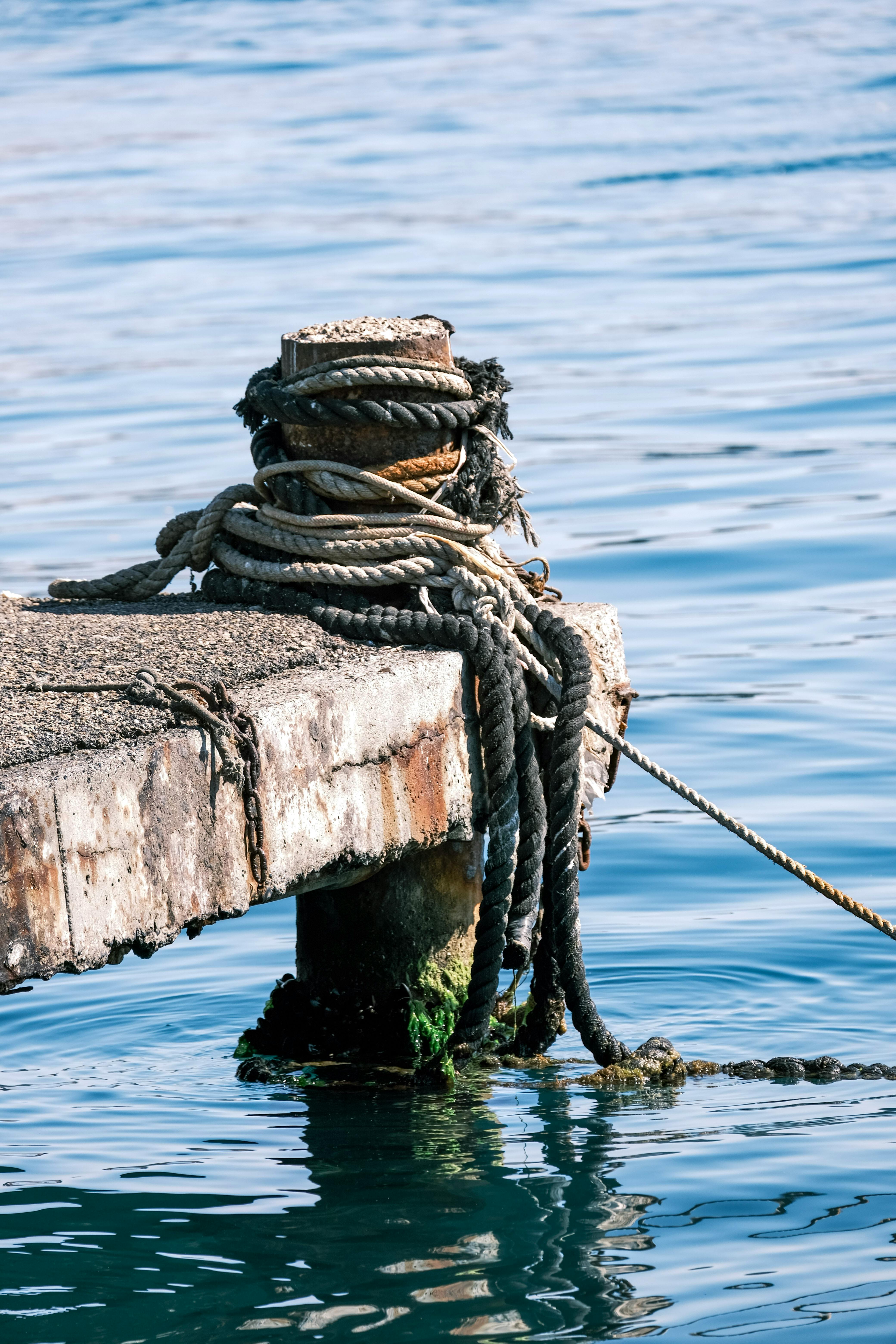 Flathub+En+Cachyos+Linux Photos, Download The BEST Free Flathub+En+Cachyos+Linux Stock Photos ...