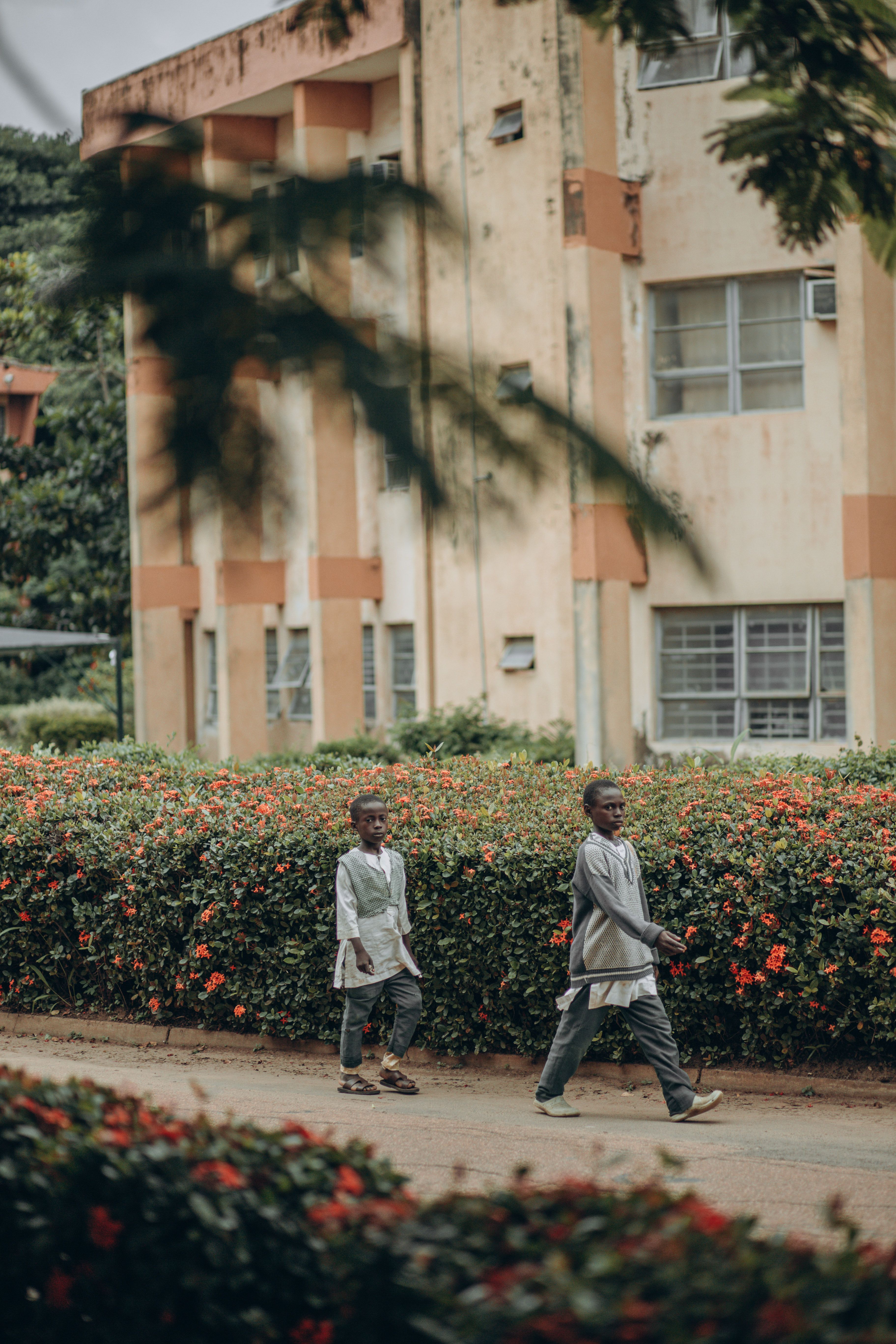 Two Boys Walking Along Flowered Pathway · Free Stock Photo