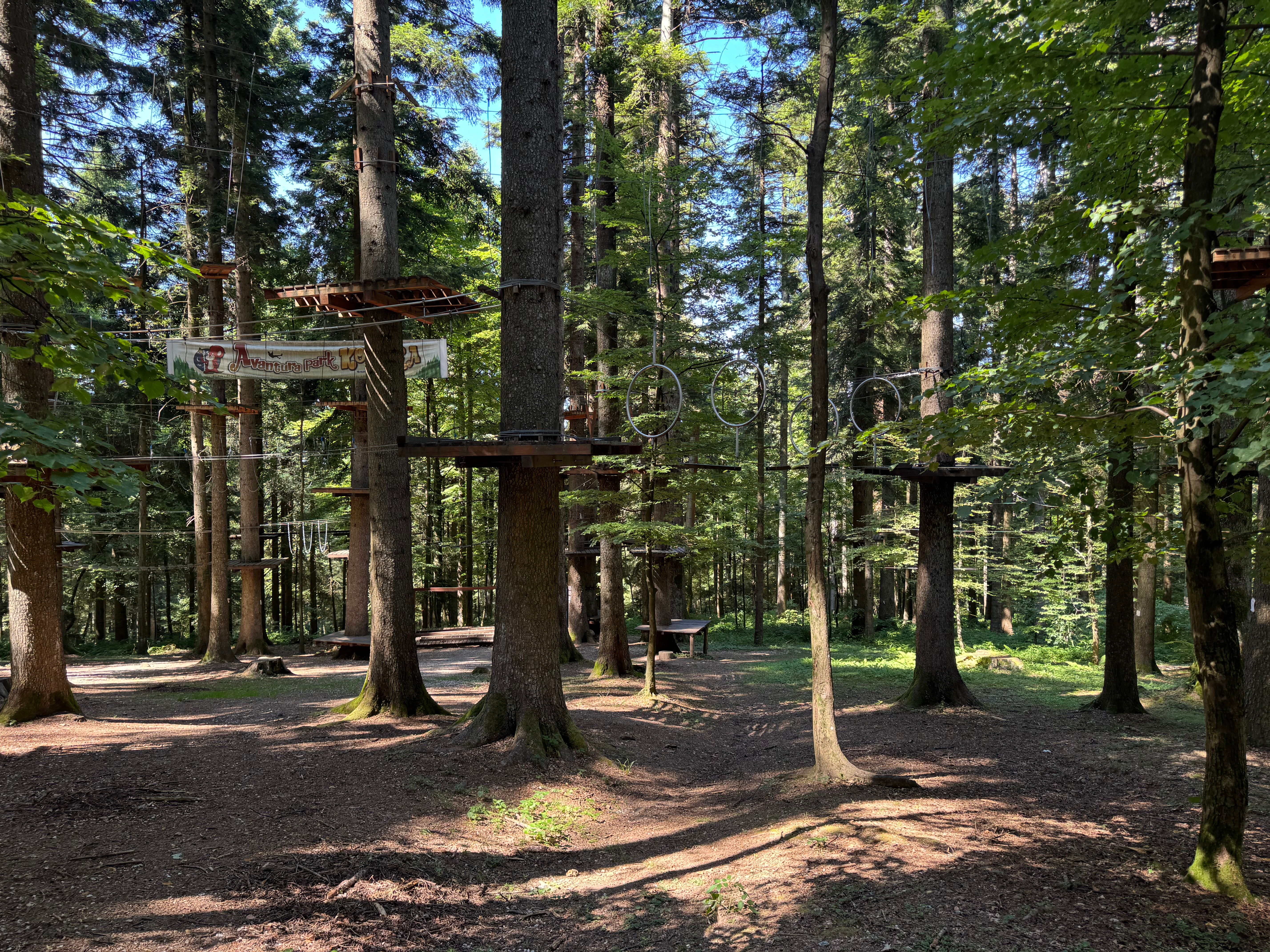 Adventure Park in a Sunlit Forest Setting · Free Stock Photo