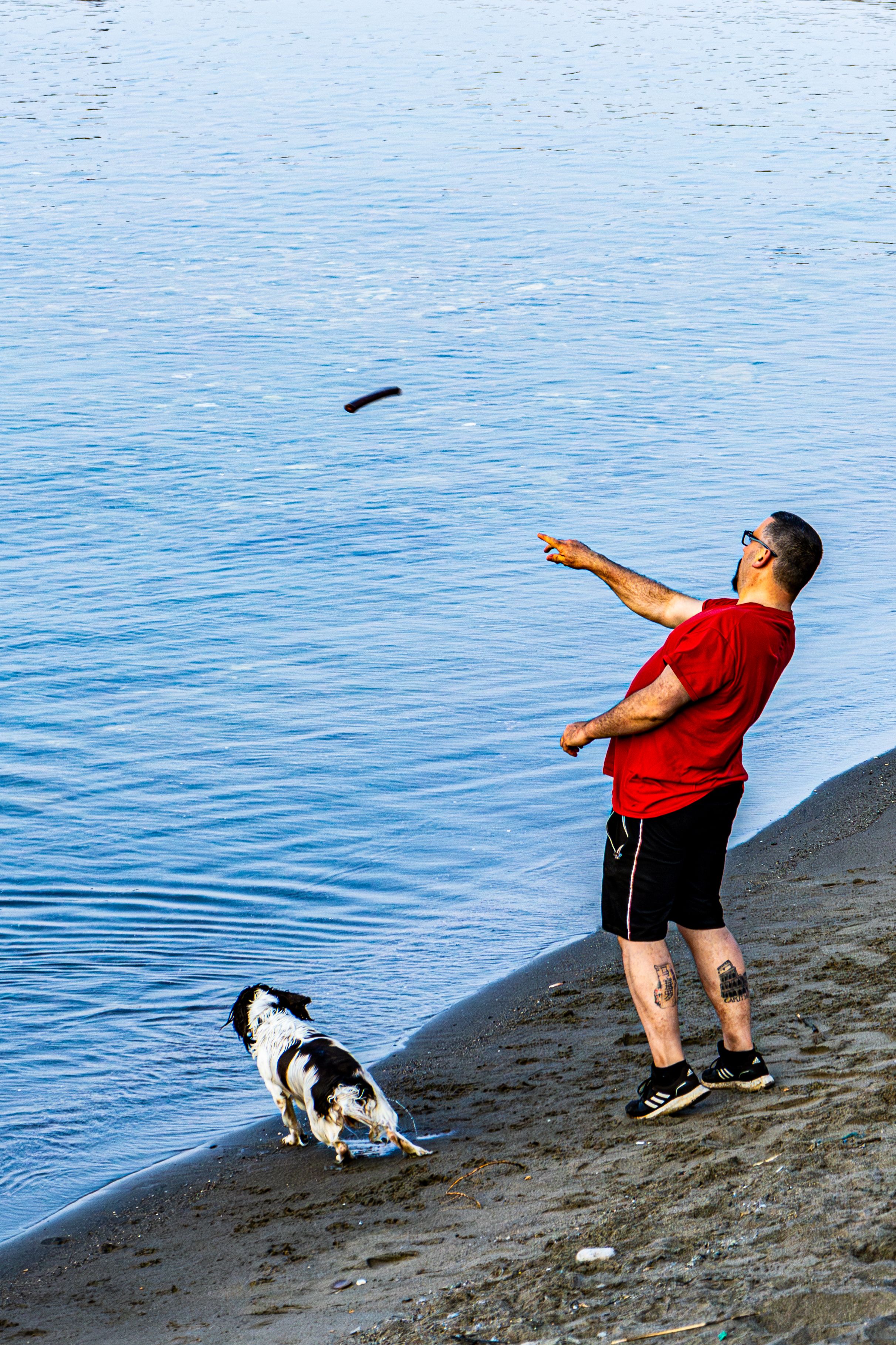 Man Playing Fetch with Dog by Lakeside in Italy · Free Stock Photo