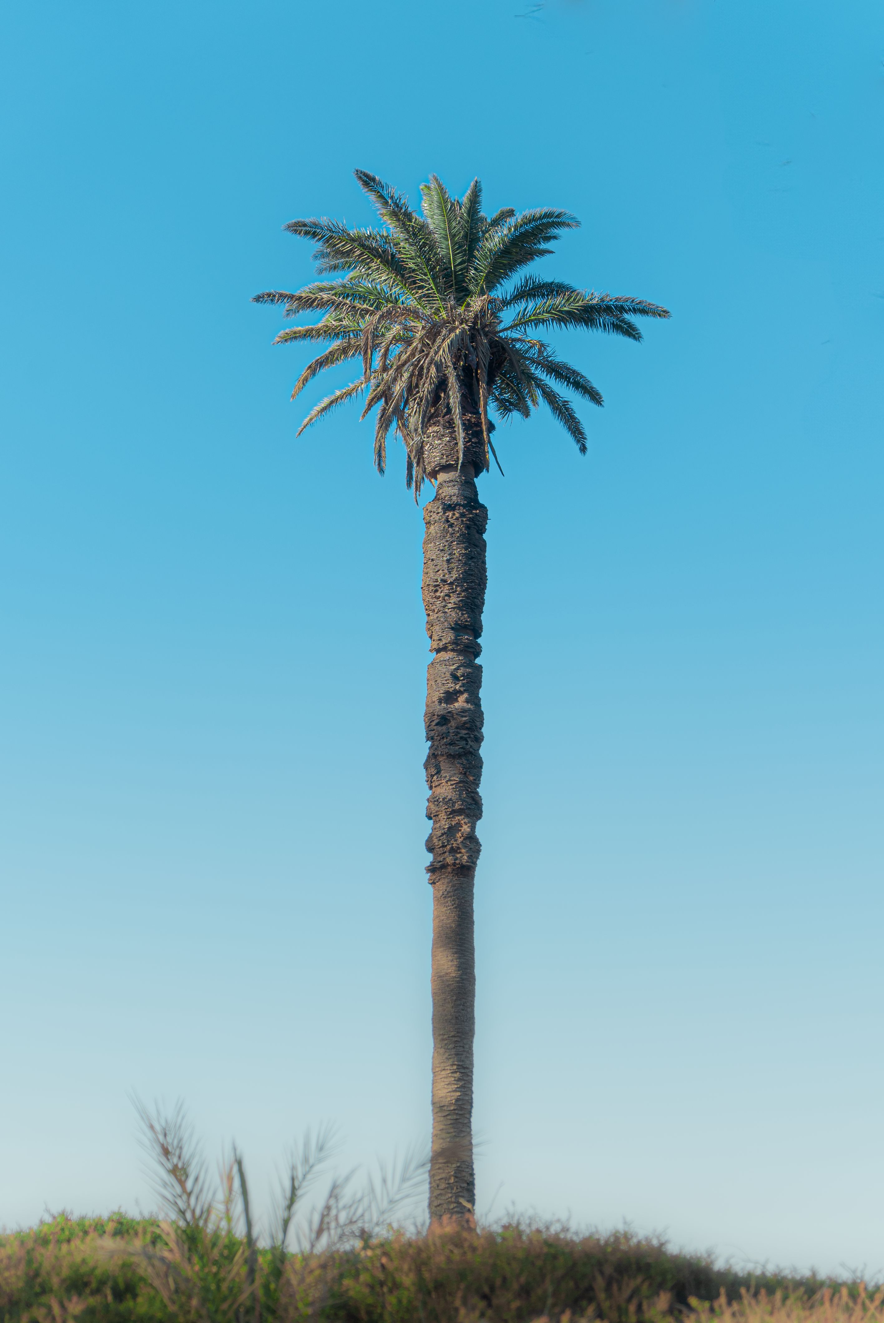 Simple Landscape Photos, Download The BEST Free Simple Landscape Stock ...