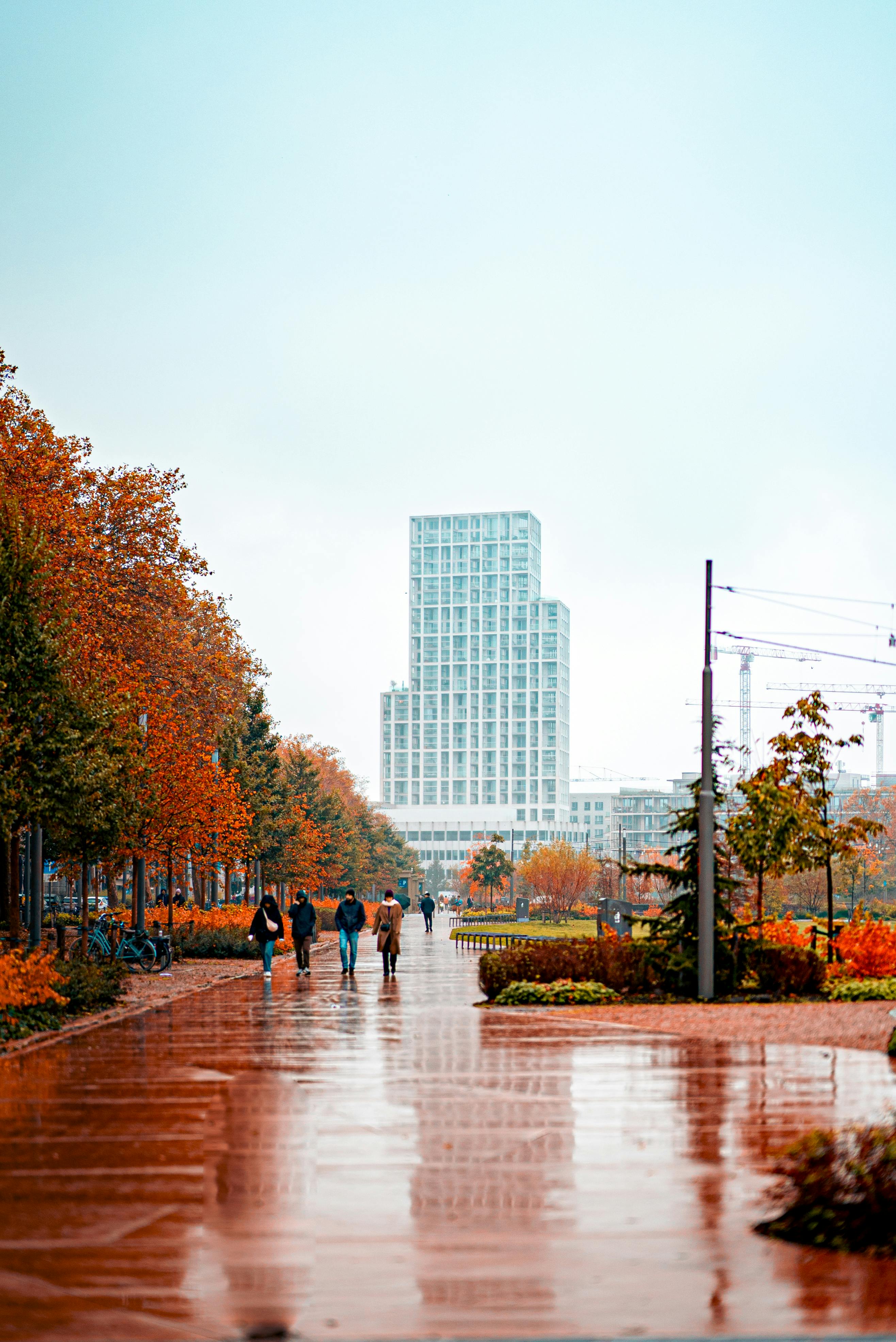 Discover the Best of Pexels