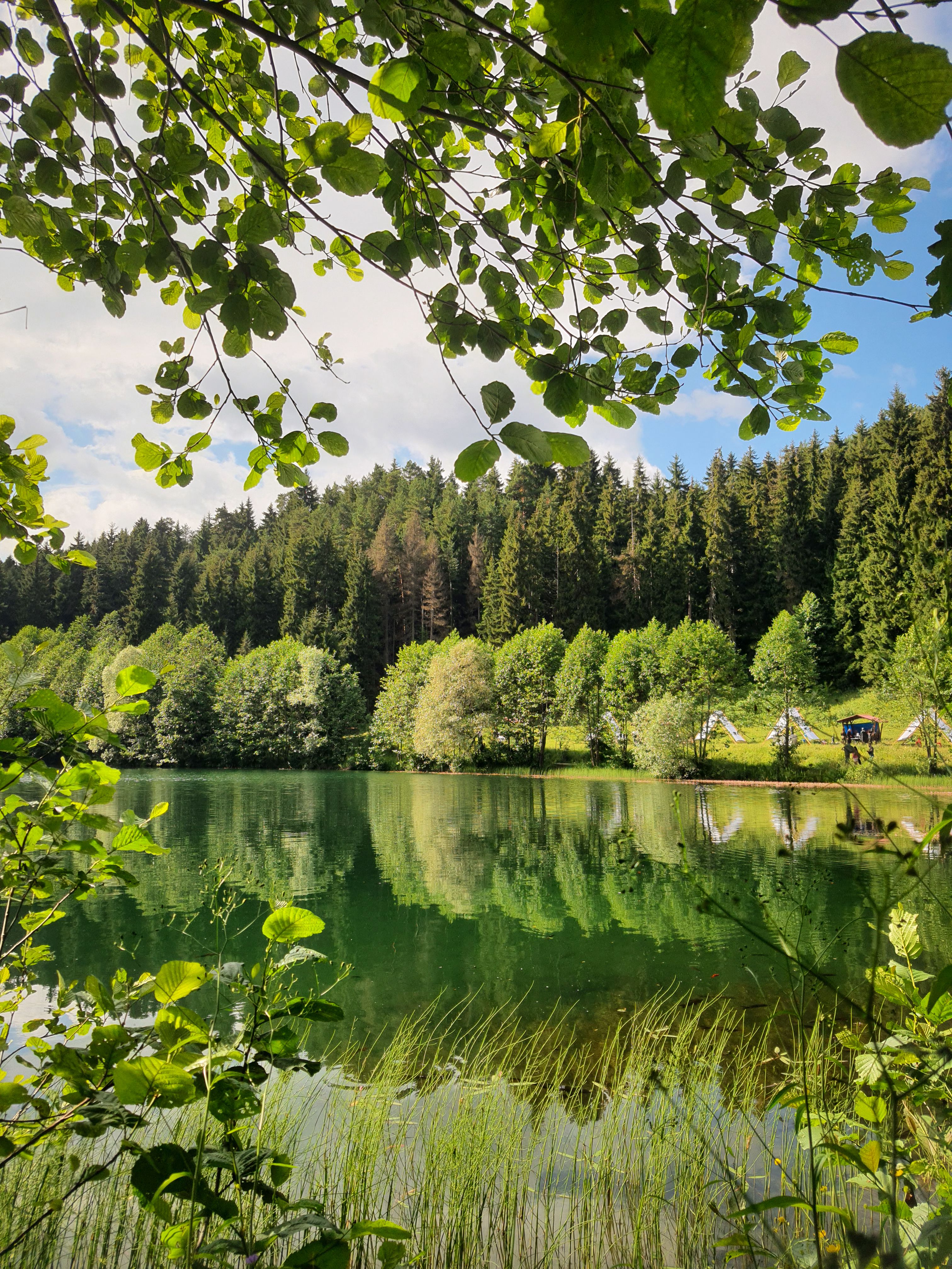 Summer Season Photos, Download The BEST Free Summer Season Stock Photos ...