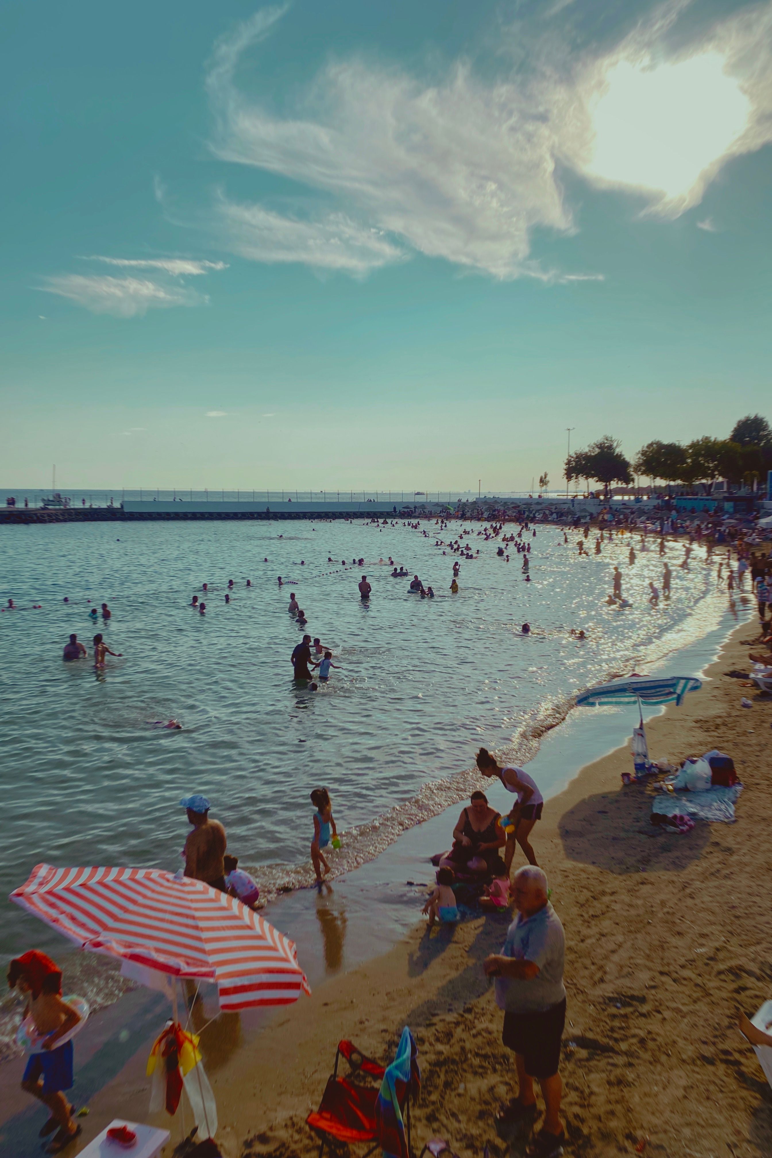 Sea Sour Photos, Download The BEST Free Sea Sour Stock Photos & HD Images