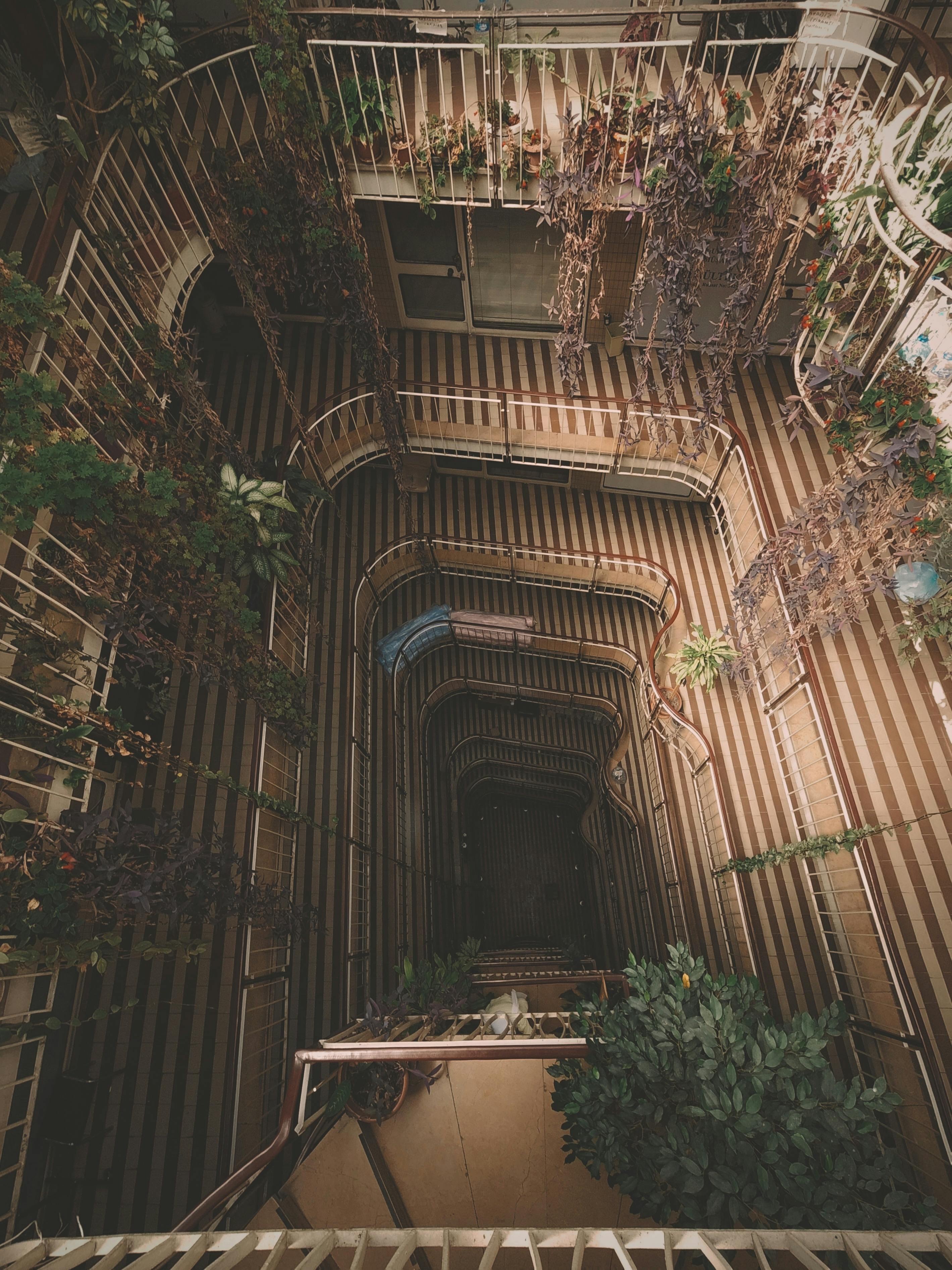 Aerial View of Unique Indoor Atrium with Plants · Free Stock Photo
