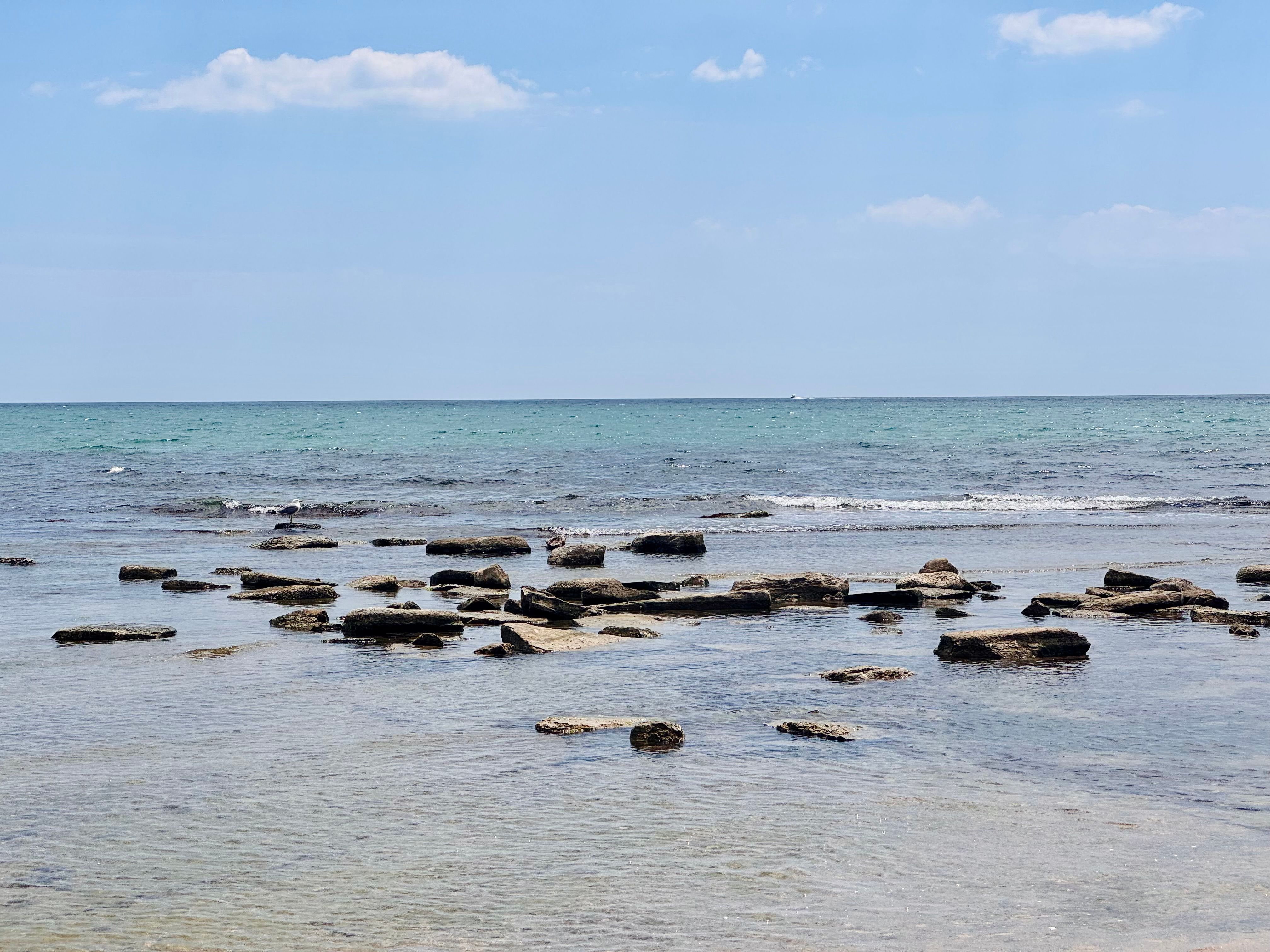 Sea Sour Photos, Download The BEST Free Sea Sour Stock Photos & HD Images