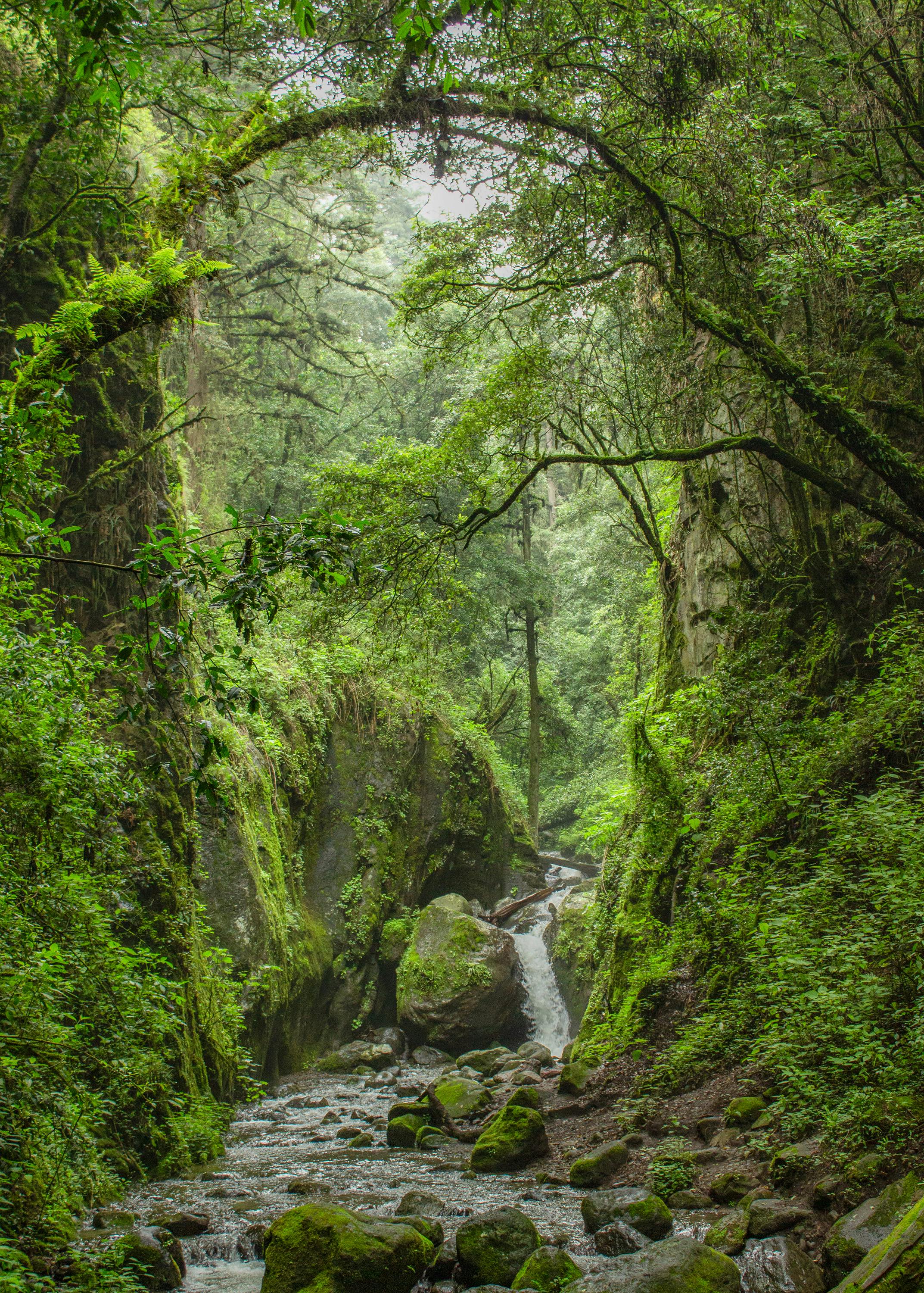 4k Images Photos, Download The BEST Free 4k Images Stock Photos & HD Images