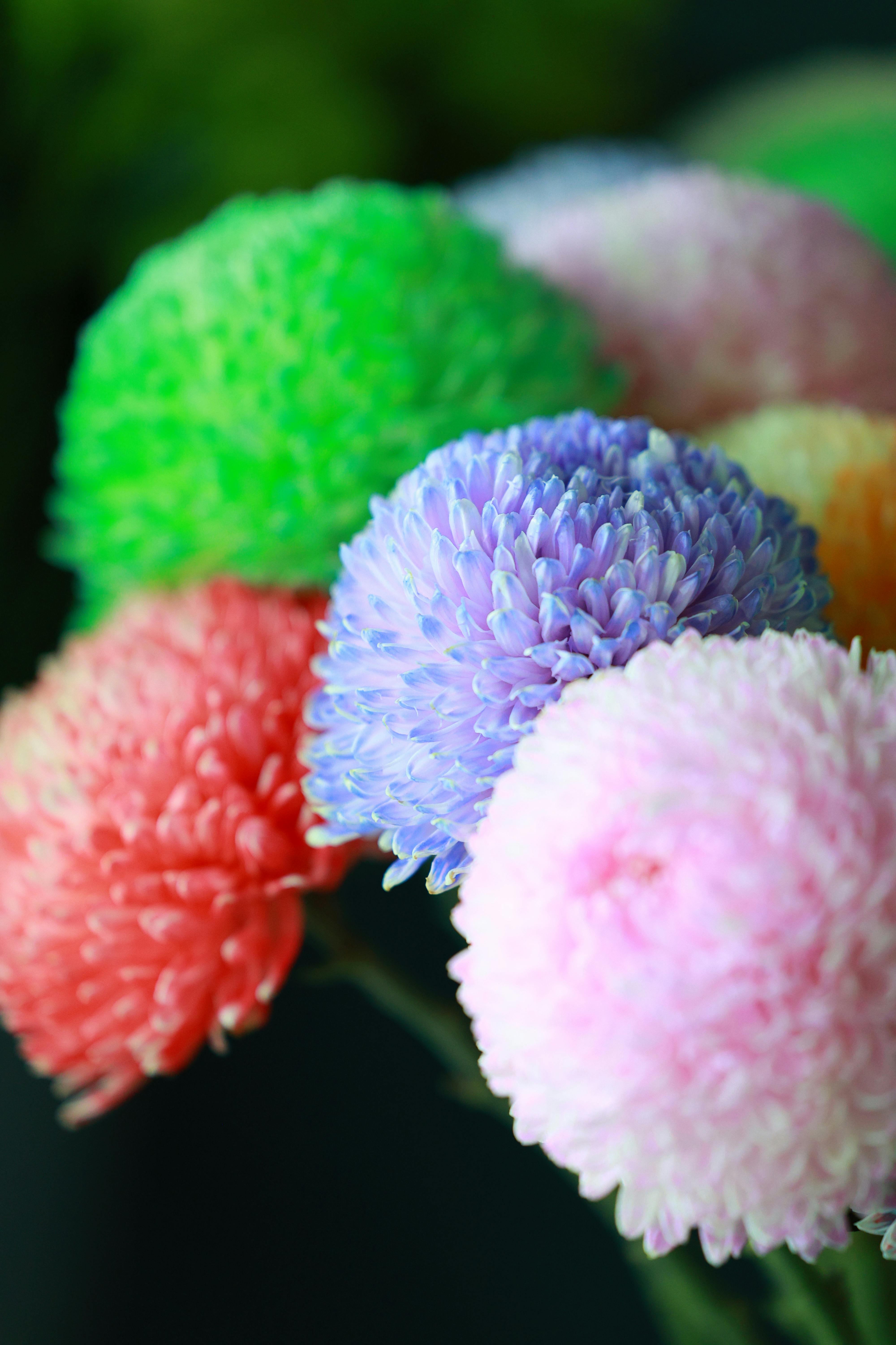 1920 X 480 Photos, Download The BEST Free 1920 X 480 Stock Photos & HD ...