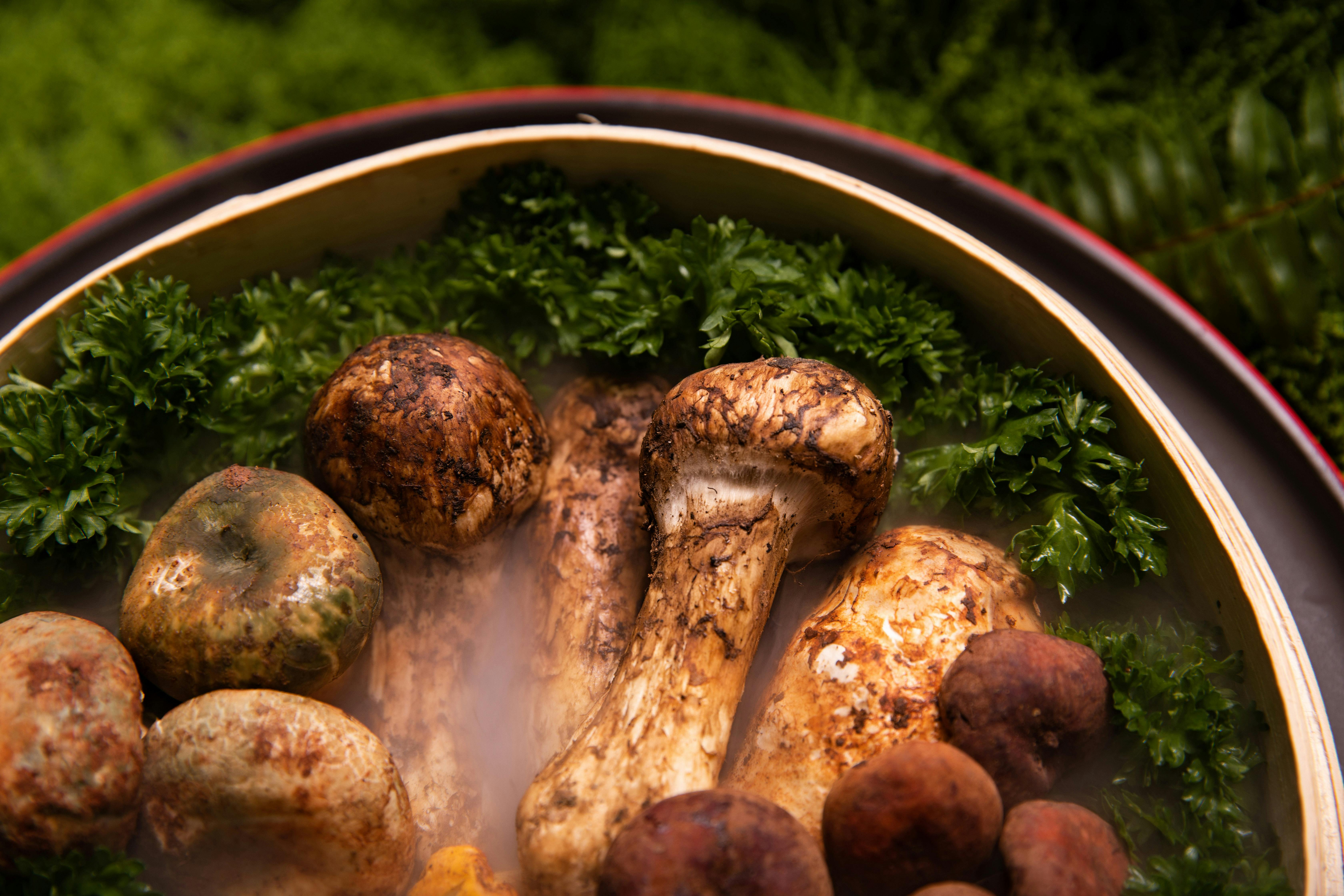 Potret Pot Photos, Download The BEST Free Potret Pot Stock Photos & HD ...