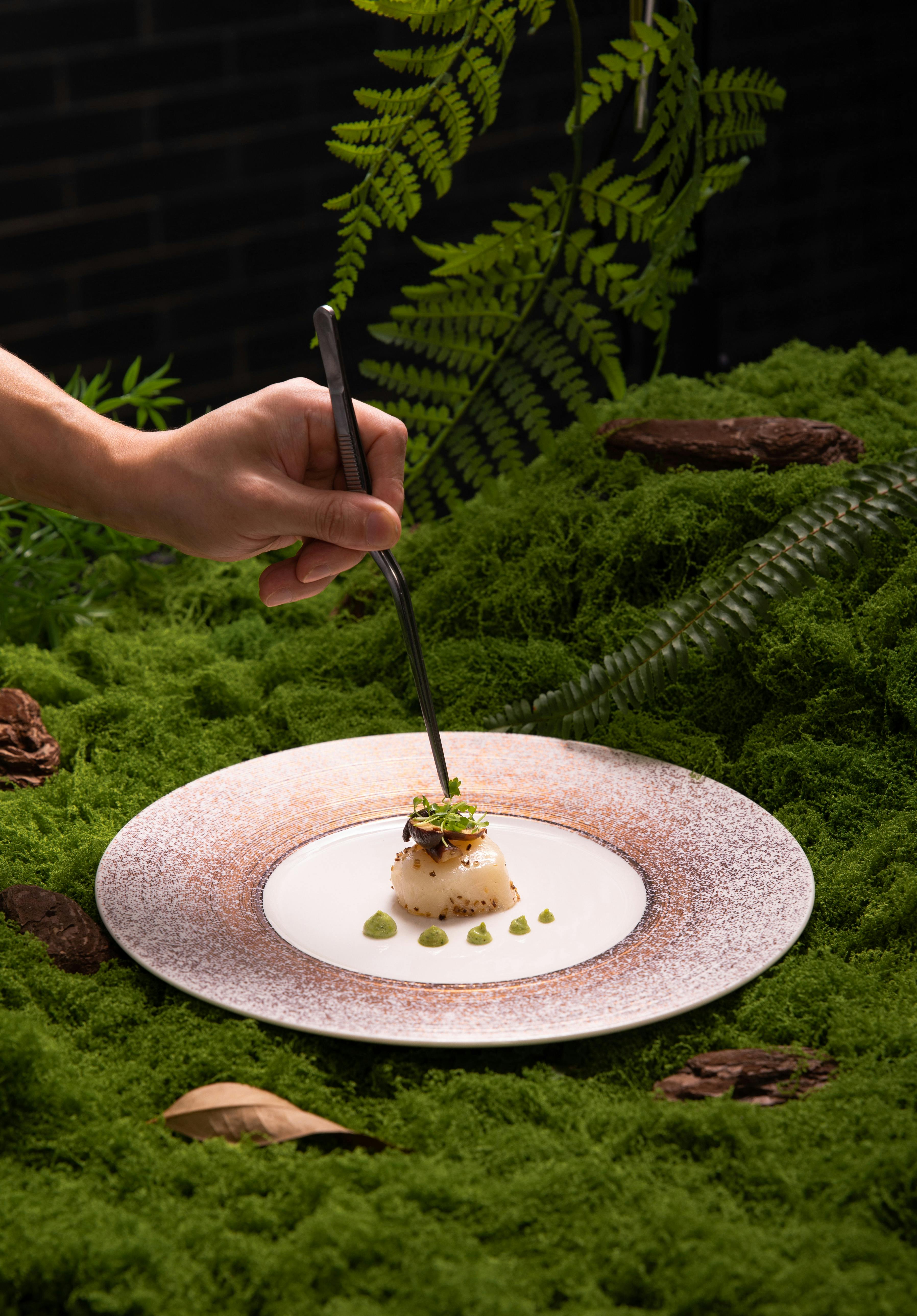 Beautiful Food Plating Photos, Download The BEST Free Beautiful Food ...