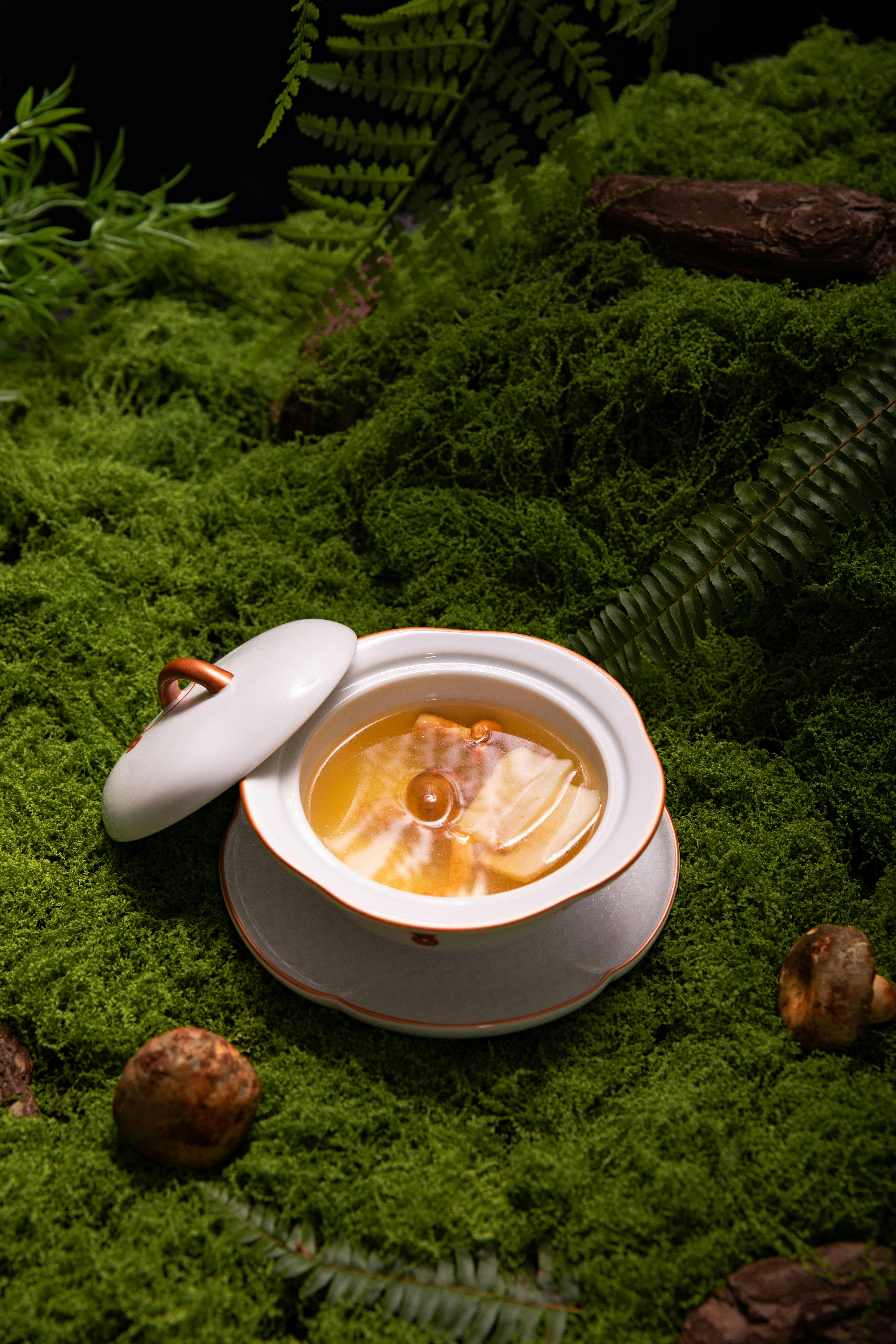 Gourmet Soup Dish on Fresh Moss Background · Free Stock Photo