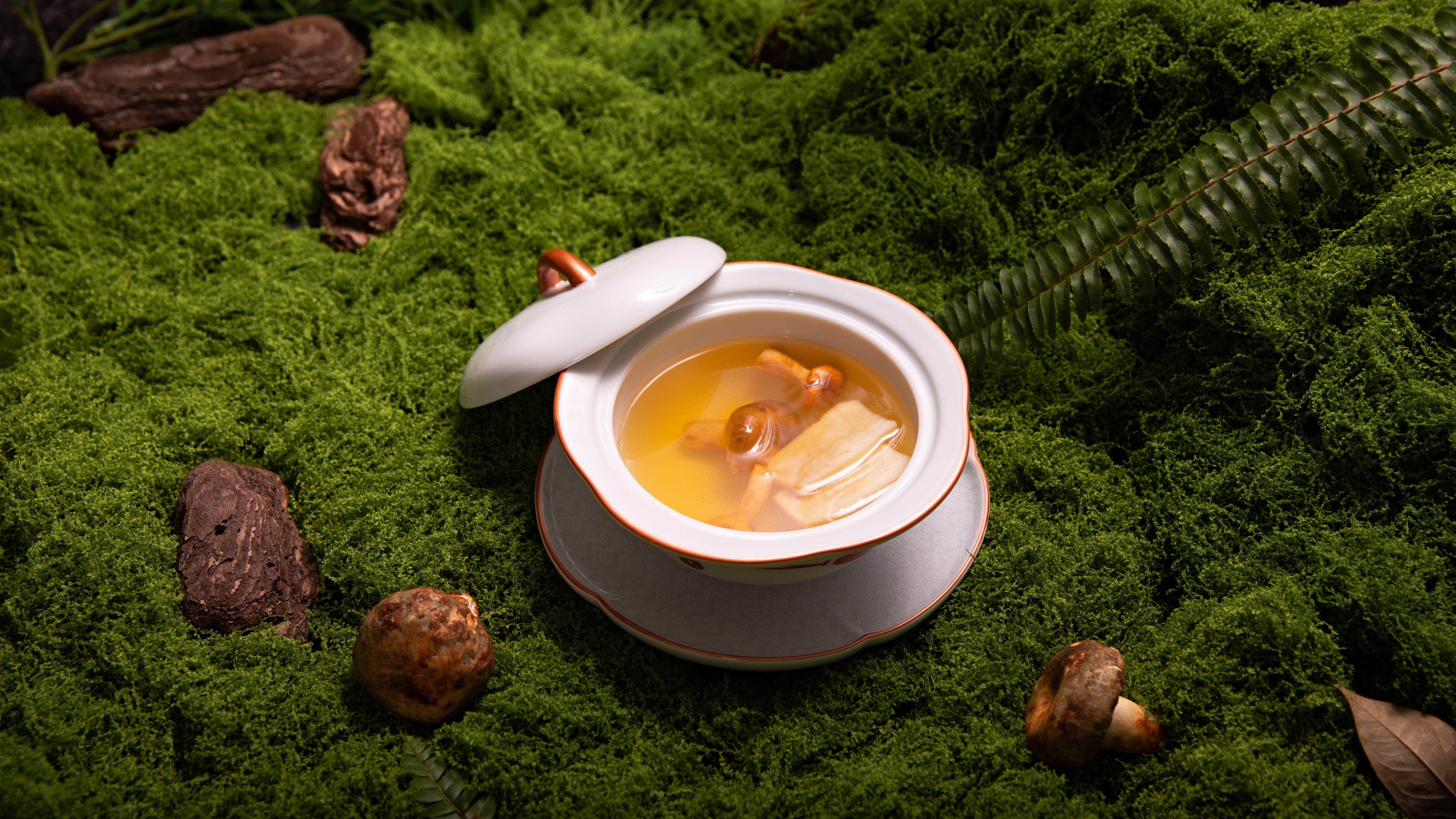 Elegant Bowl of Soup on a Mossy Forest Floor · Free Stock Photo
