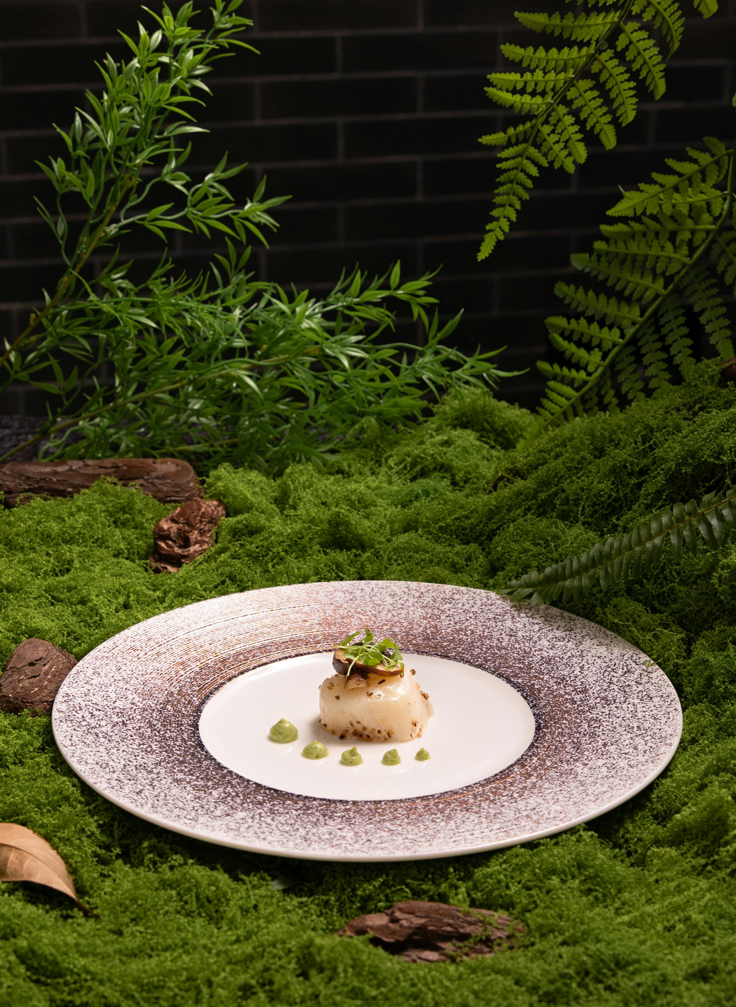 Cg+Ambient+Texture Photos, Download The BEST Free Cg+Ambient+Texture ...