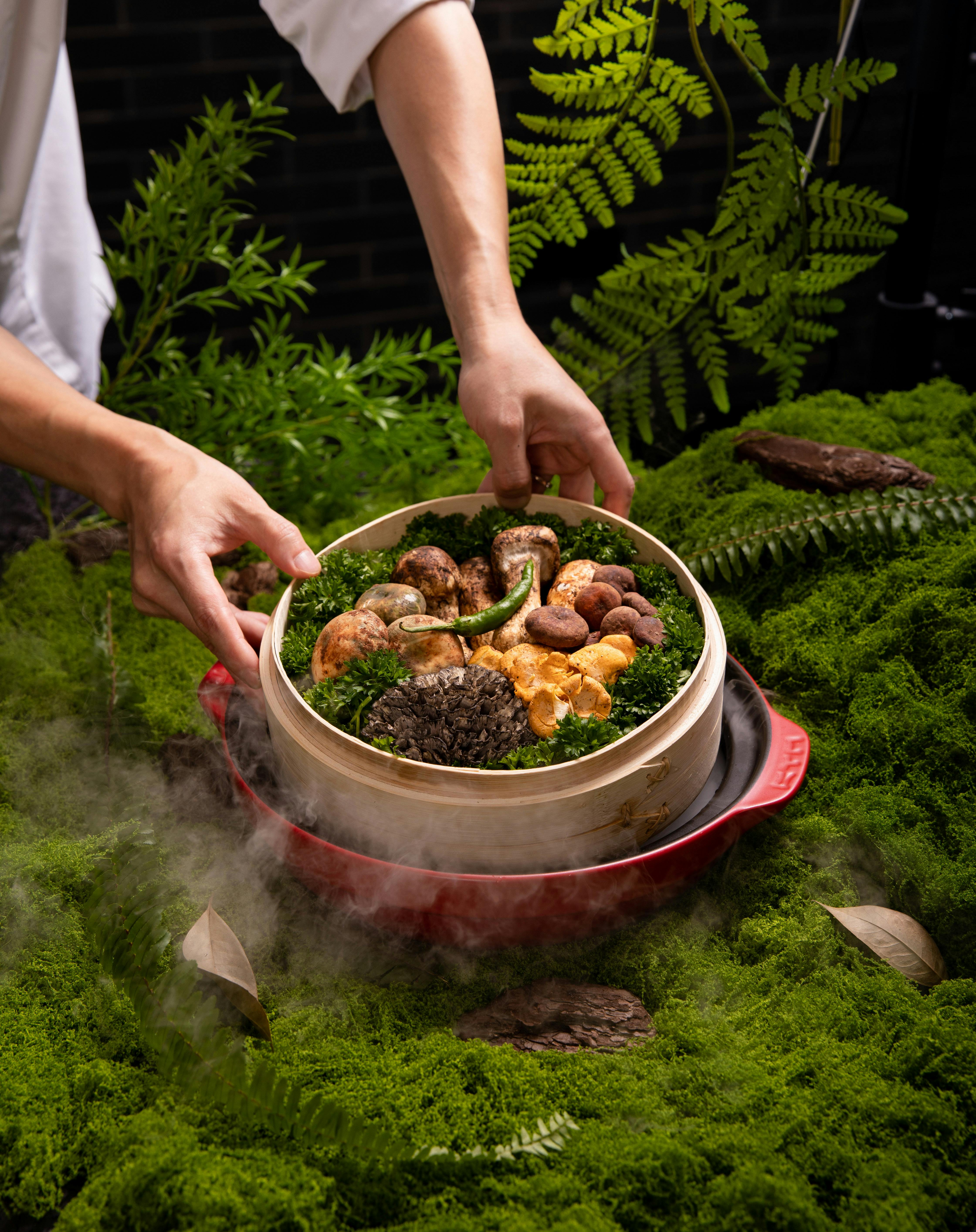 Fungi On Food Photos, Download The BEST Free Fungi On Food Stock Photos ...