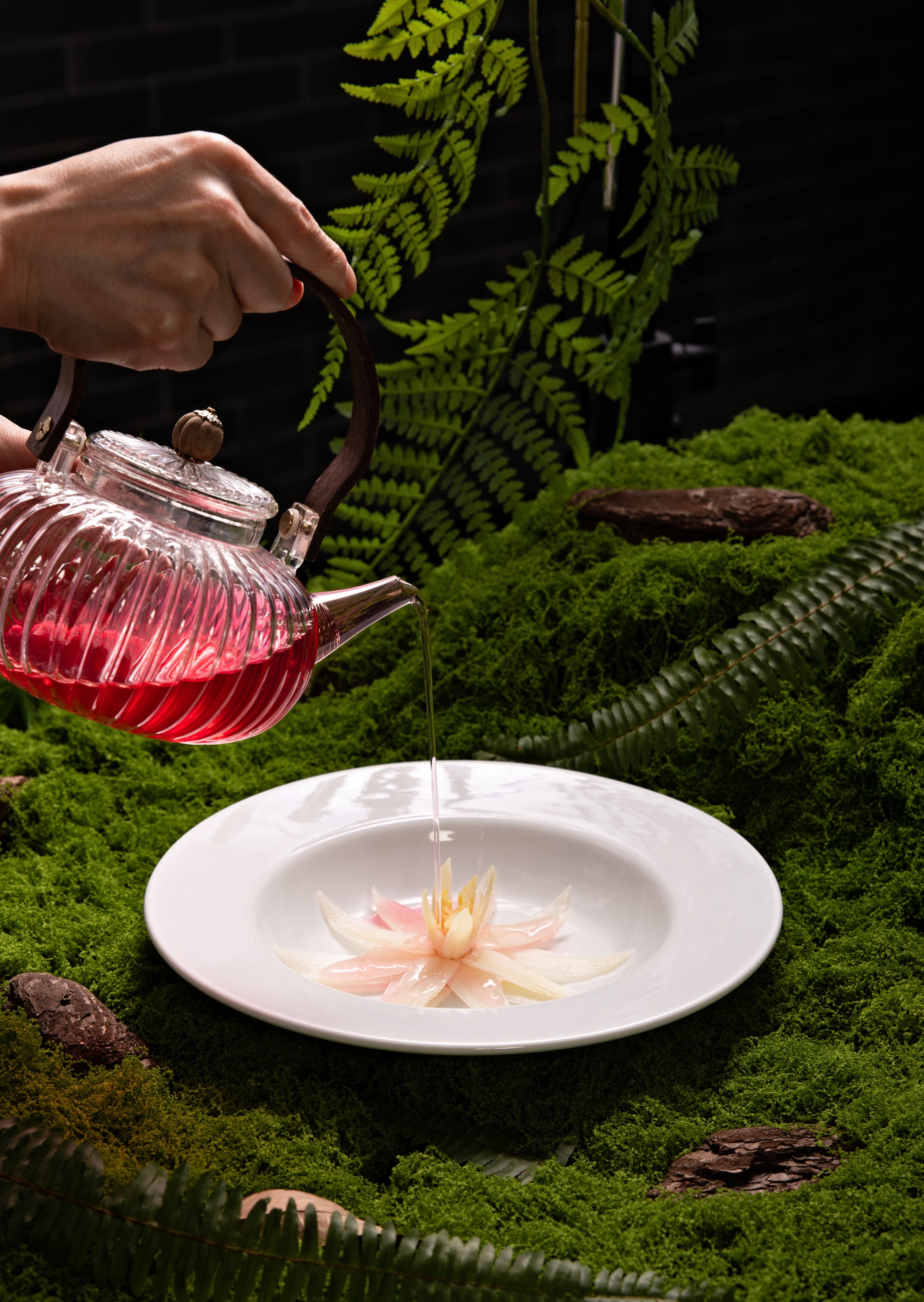 Elegant Tea Pouring over Flower in Moss · Free Stock Photo