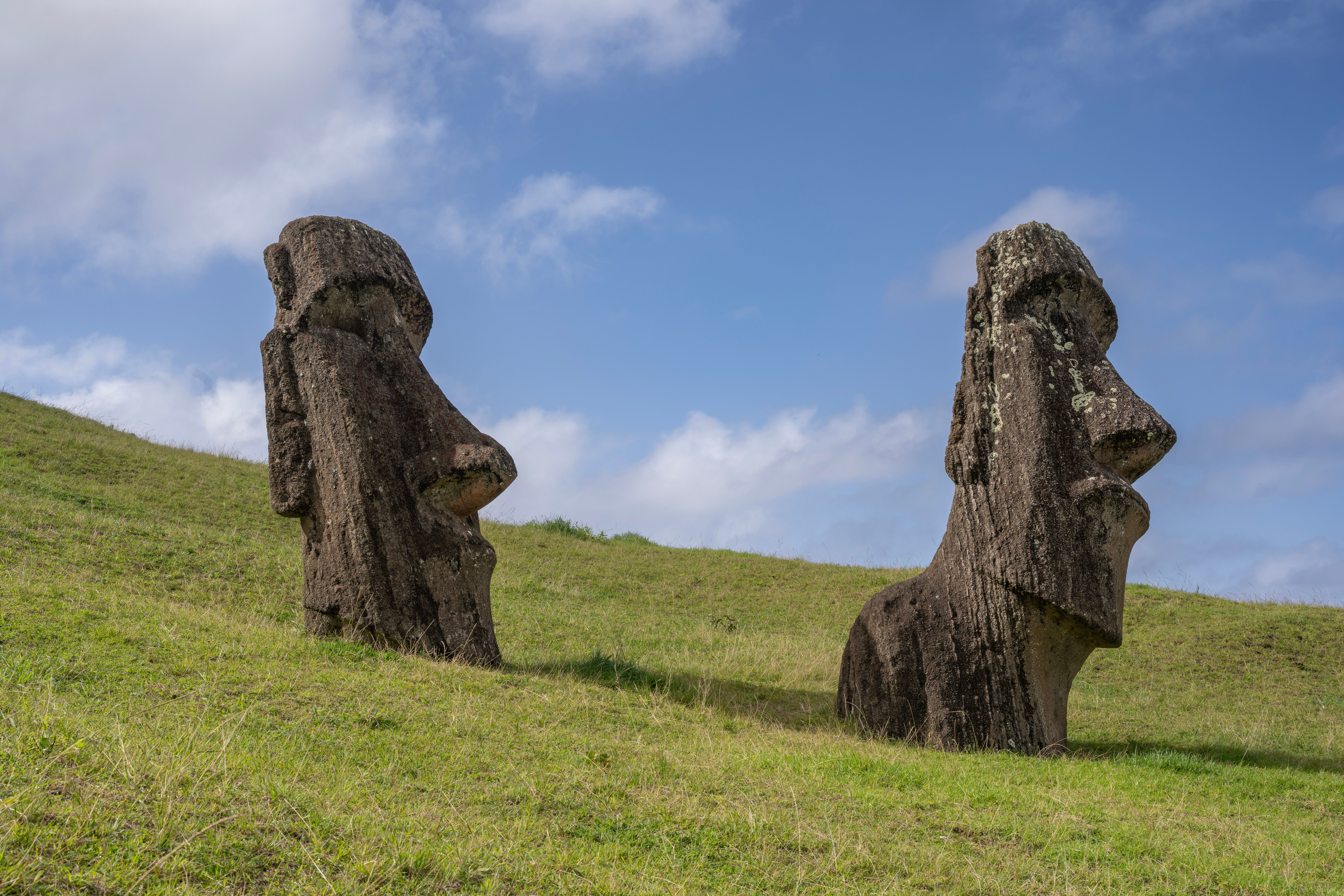 Cerro Fro Photos, Download The BEST Free Cerro Fro Stock Photos & HD Images